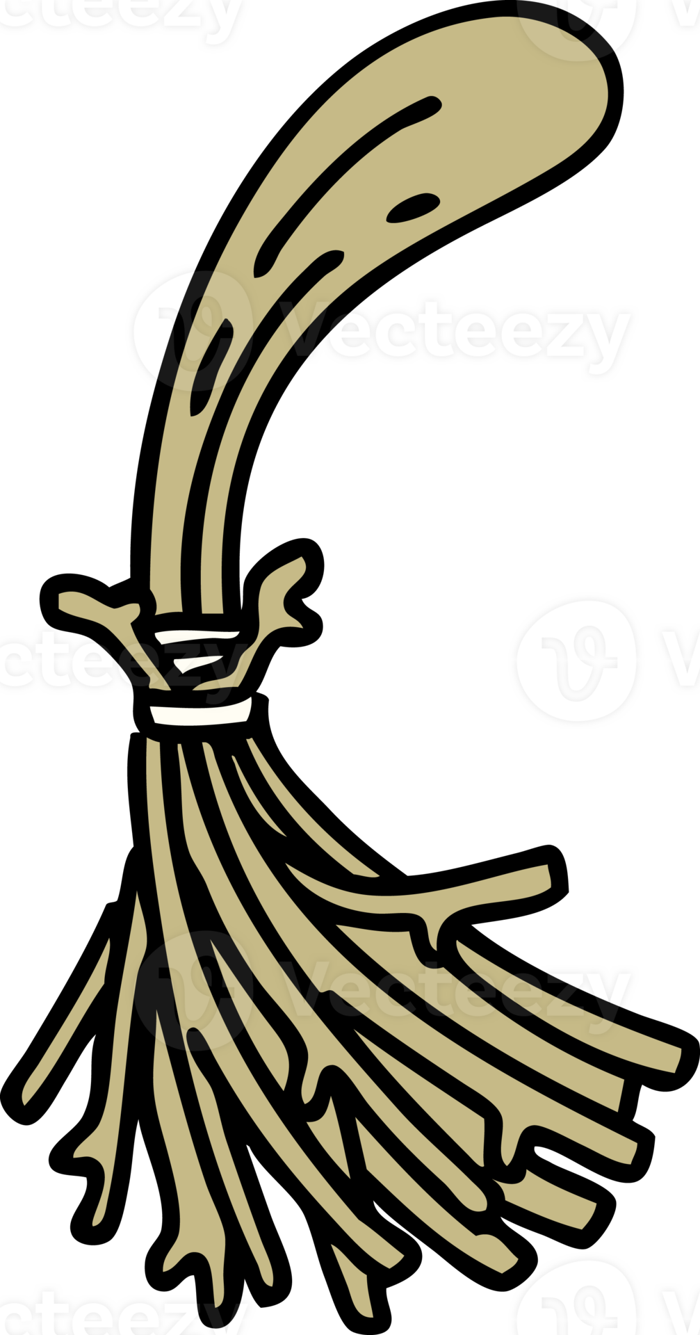 Cartoon Old Style Broom Stick 45139413 Png
