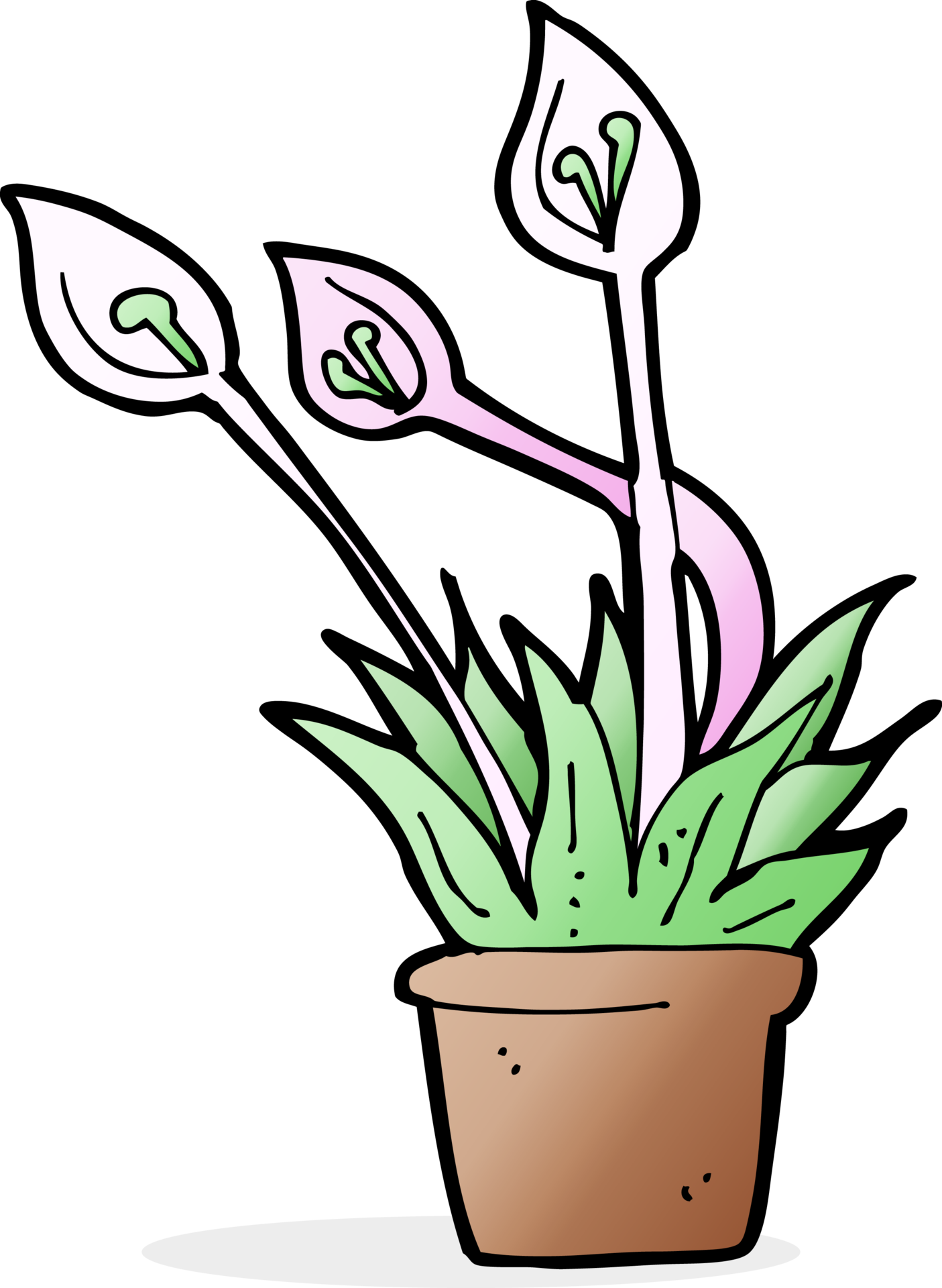 cartoon orchid plant 45271112 PNG