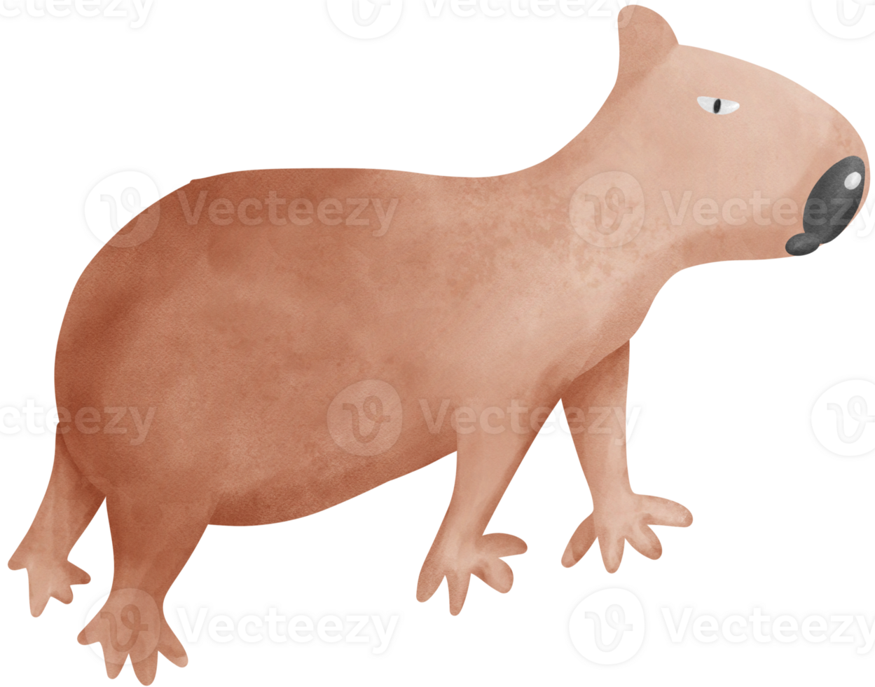 brown capybara created by water color painting 45367880 PNG brown capybara created by water color painting 45367880 PNG