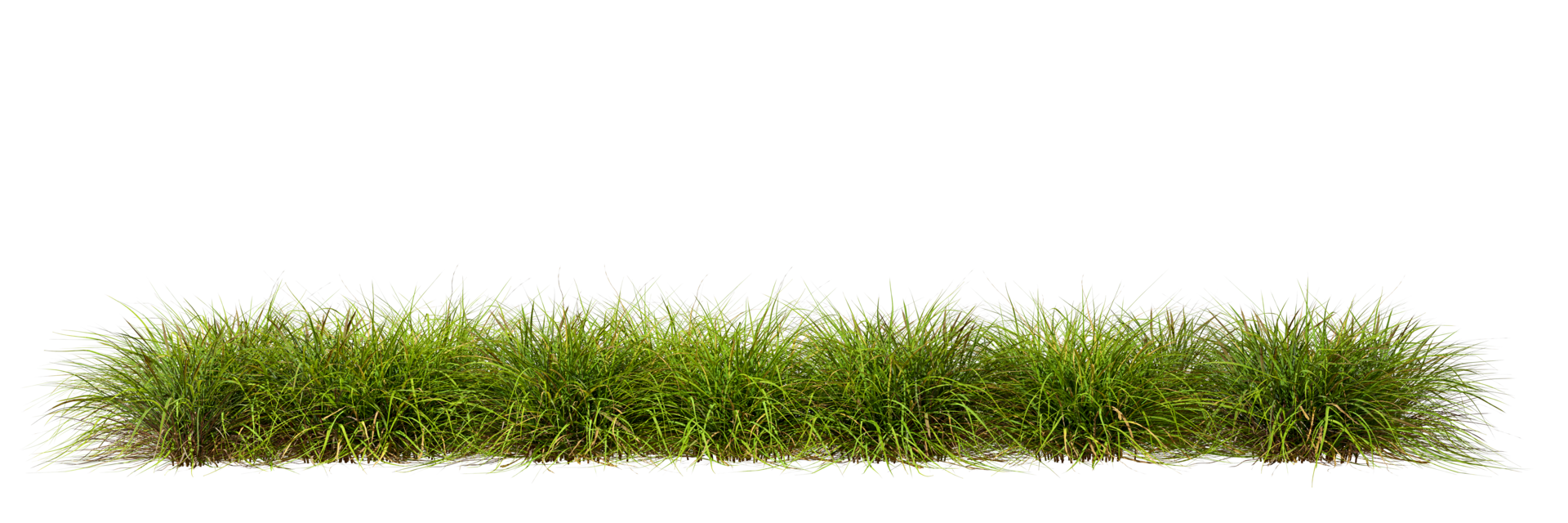 Meadow grass row prairie cutout transparent background 3d rendering ...