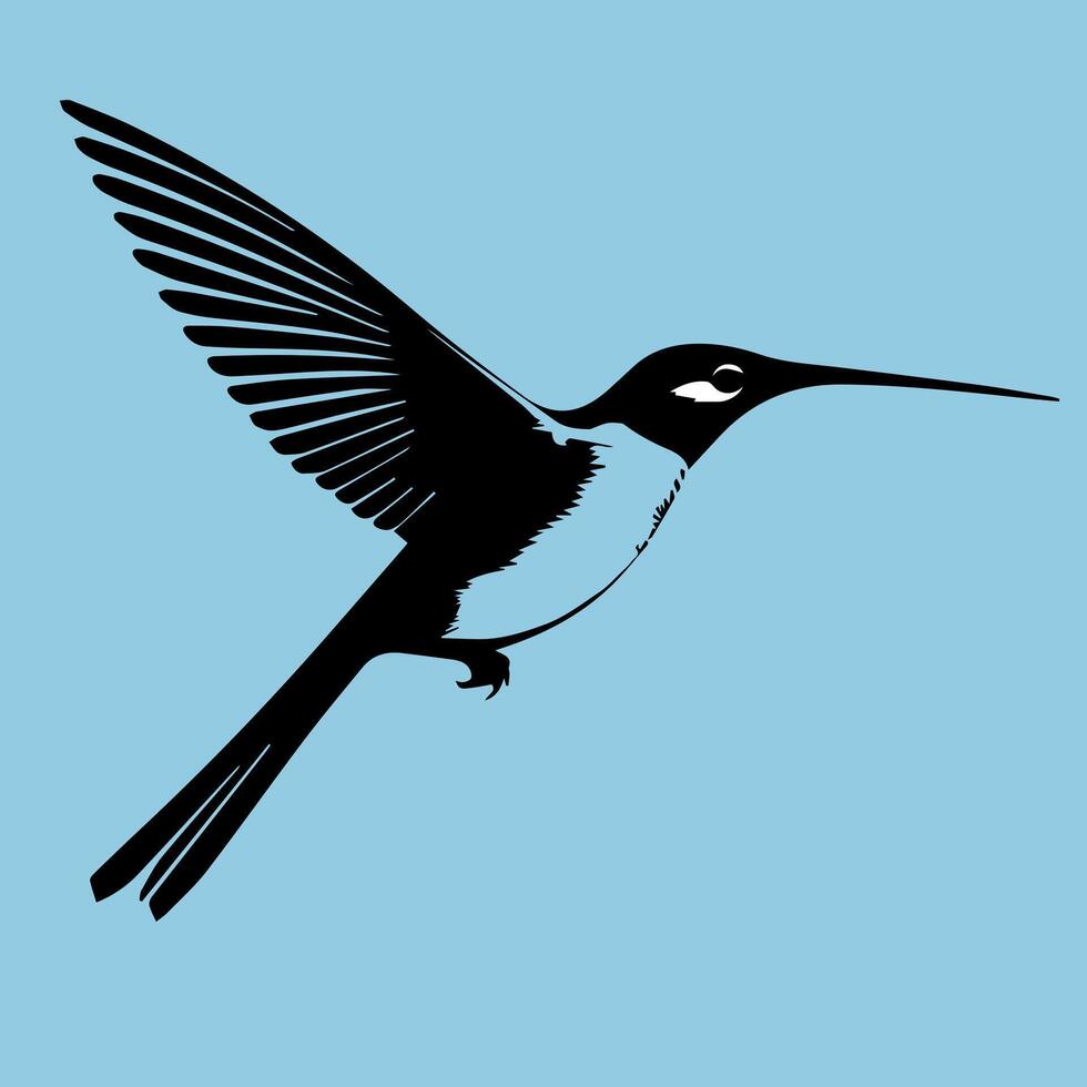 Black And White Bird Design 45488727 Vector Art At Vecteezy