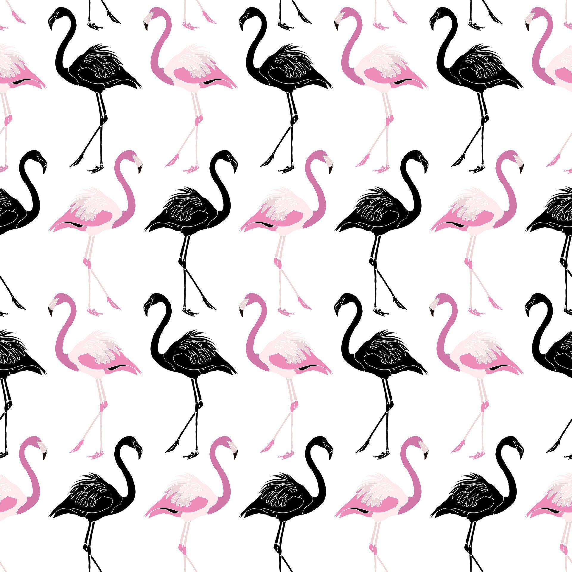 Flamingo Seamless Pattern Background Design Black and Pink 45501428 Vector Art at Vecteezy