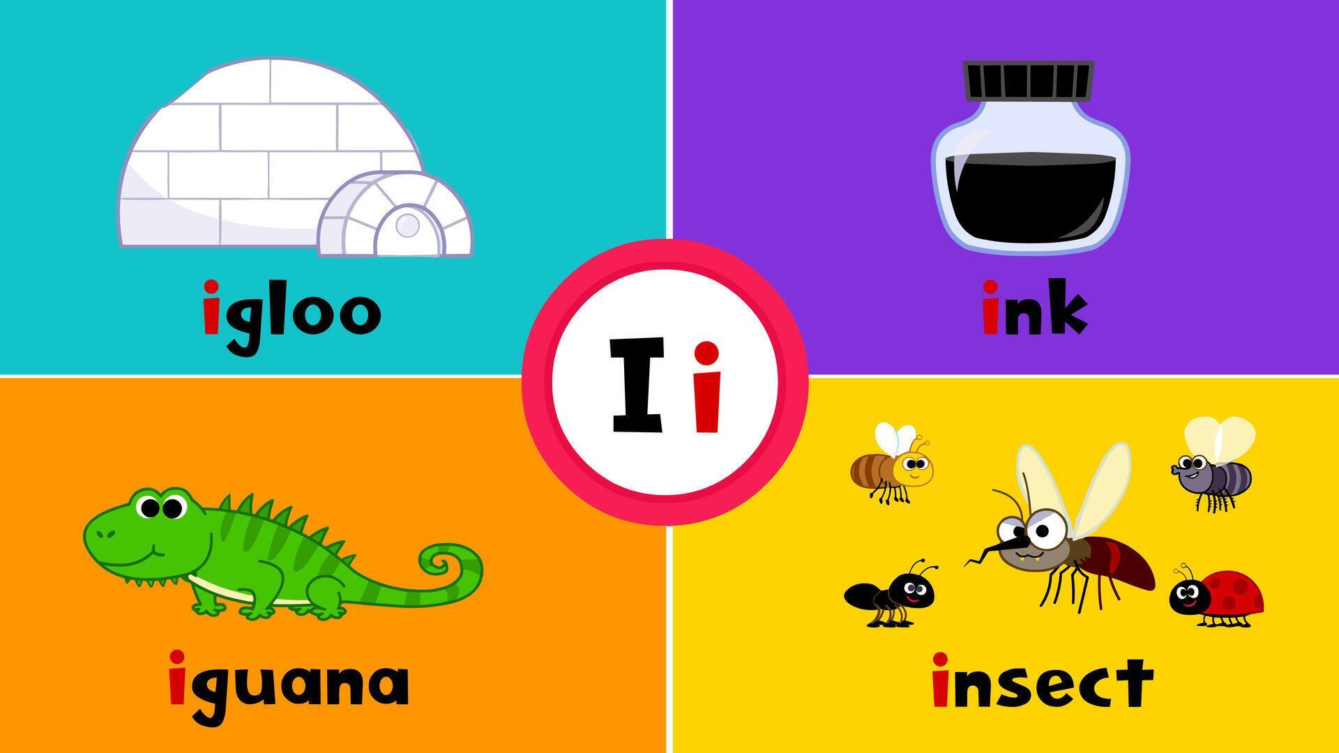 Letter I i Flashcard for kids with 4 words igloo ink iguana insect 45590739 Vector Art at Vecteezy