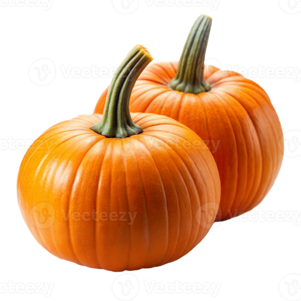 Two Pumpkins on a Transparent Background 45592435 PNG