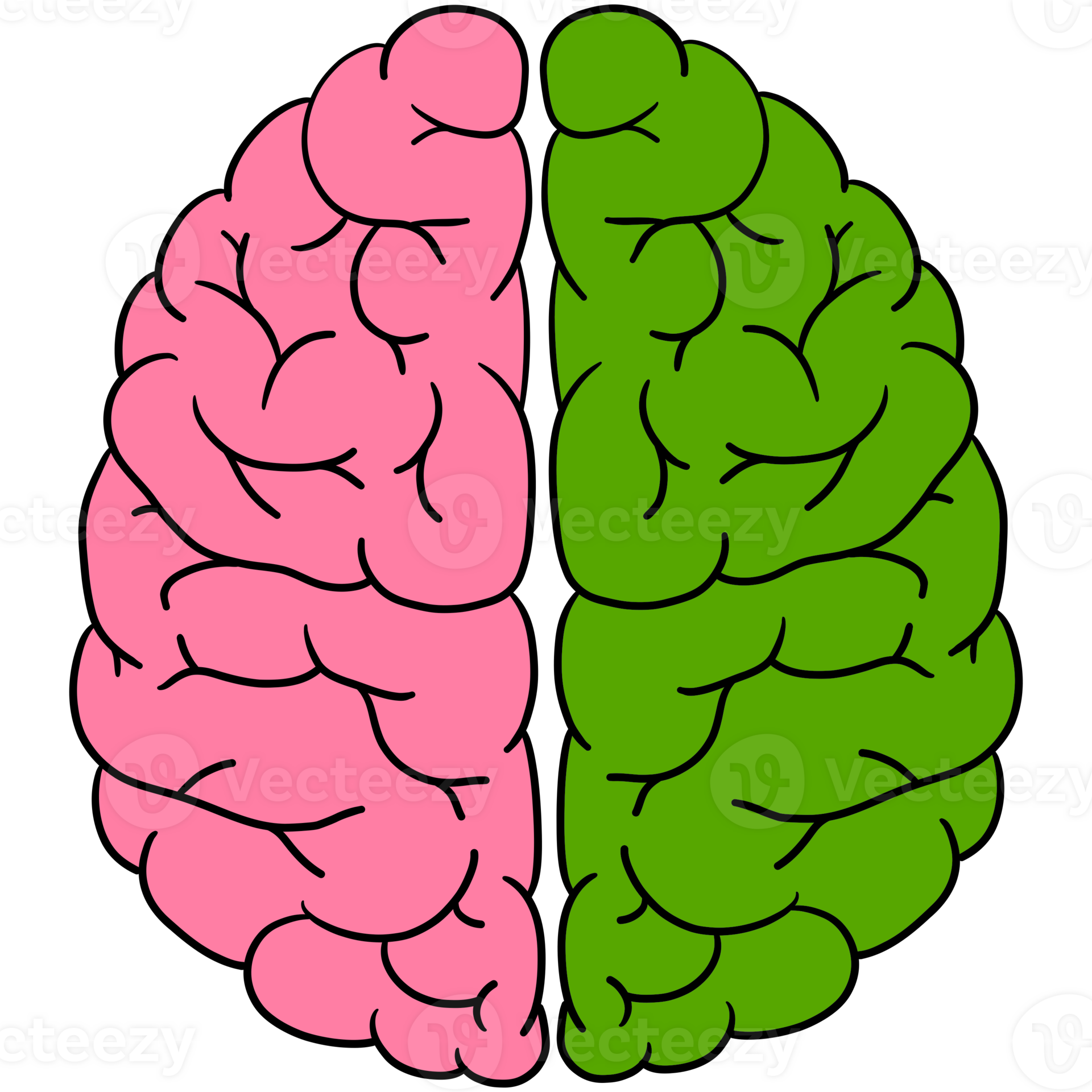 Illustration Of Left And Right Brain Hemispheres 45620988 Png