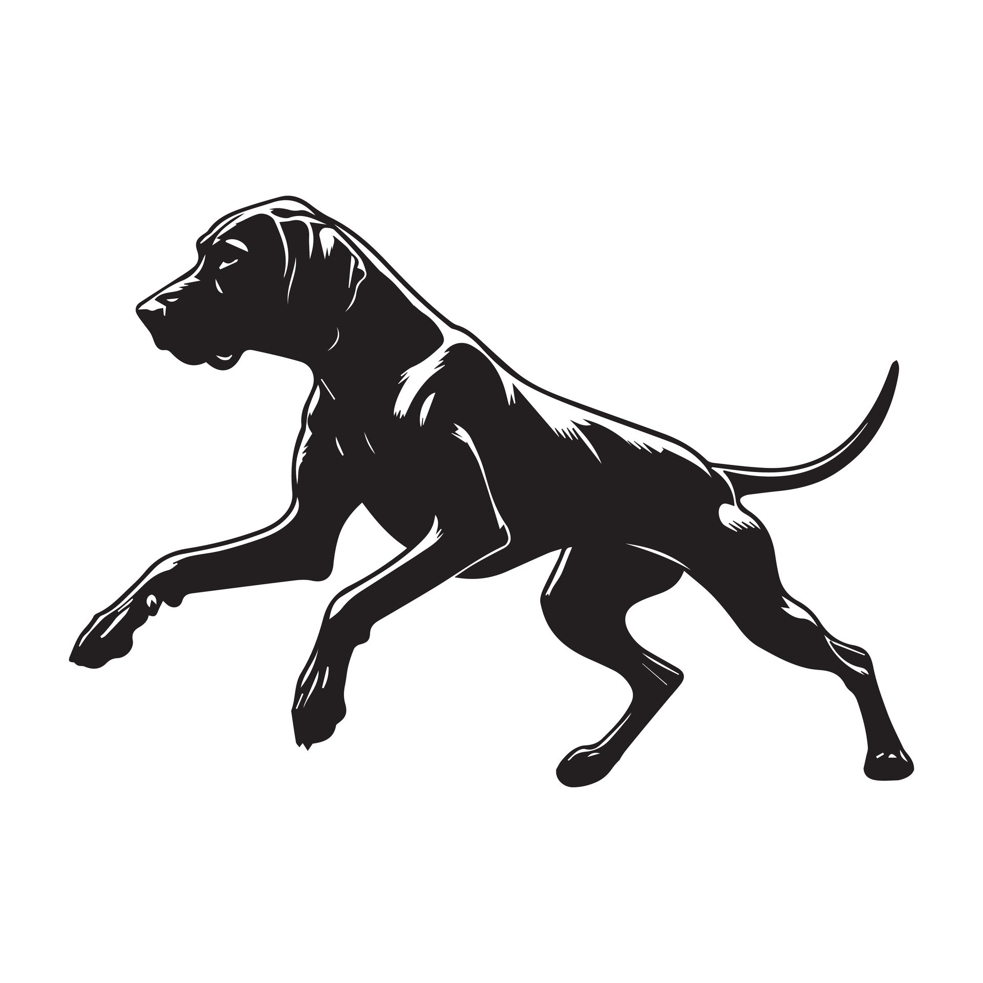 Focused Vizsla Retrieving Object illustration in black and white ... Focused Vizsla Retrieving Object illustration in black and white ...