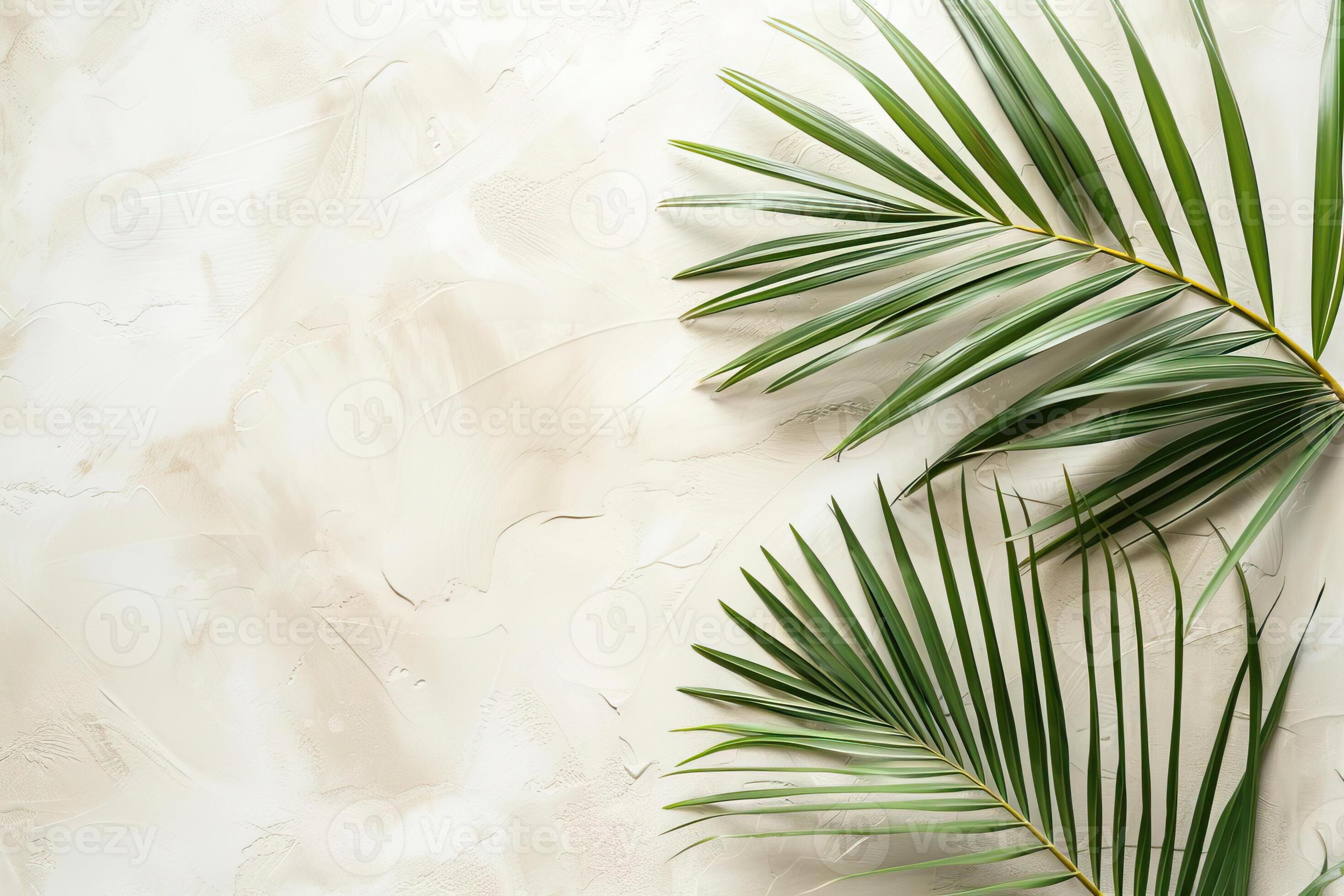 spa banner concept with palm leaves on one side, and space 45661072 ...