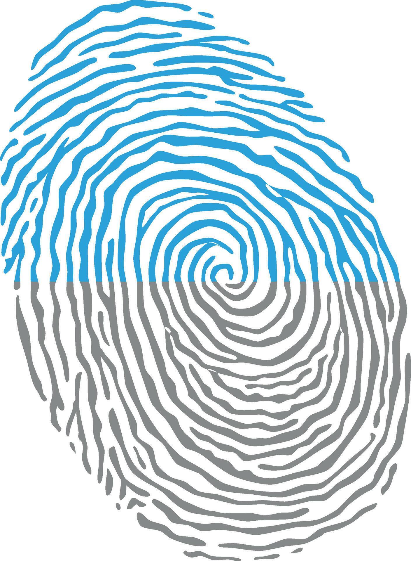 Fingerprint Colored With The Autosexual Pride Flag Isolated On White Background Illustration