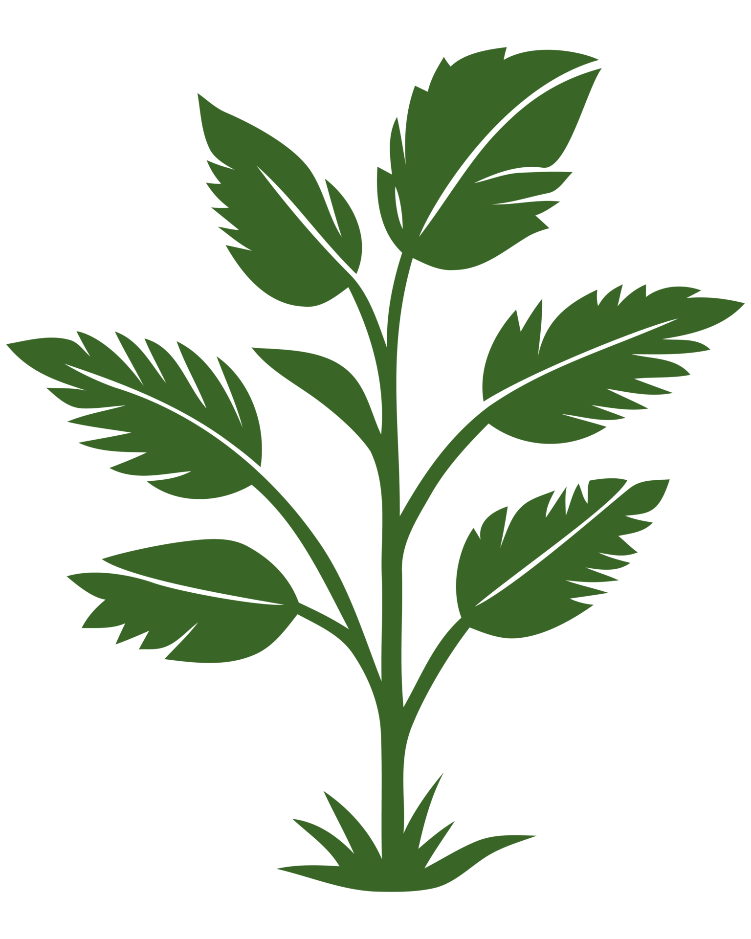 Green Grass Illustration 45721981 Png