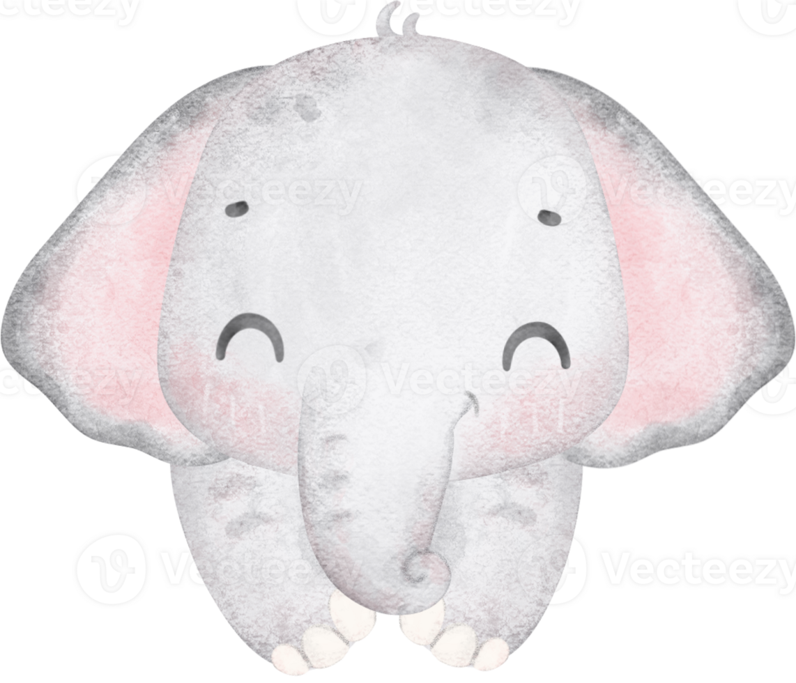 Cute baby elephant , adorable nursery animal watercolor 45722308 PNG