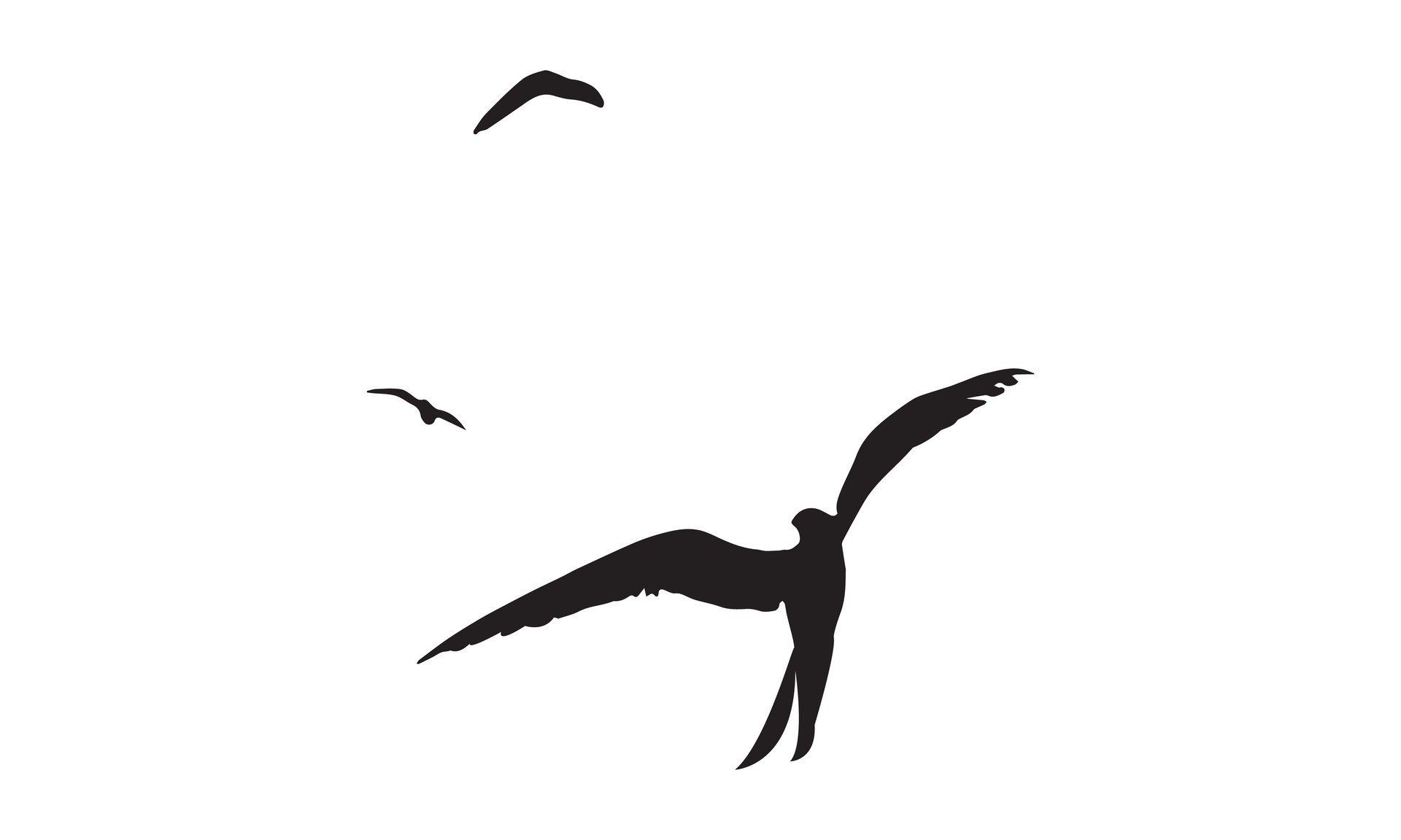 Flying Birds Design. 45725832 Vector Art at Vecteezy