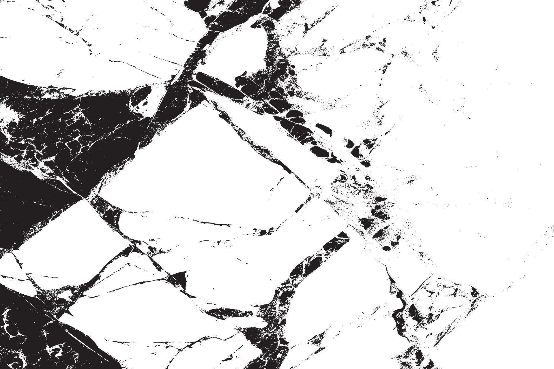 Chic Black And White Marble Texture Background Stylish Monochrome
