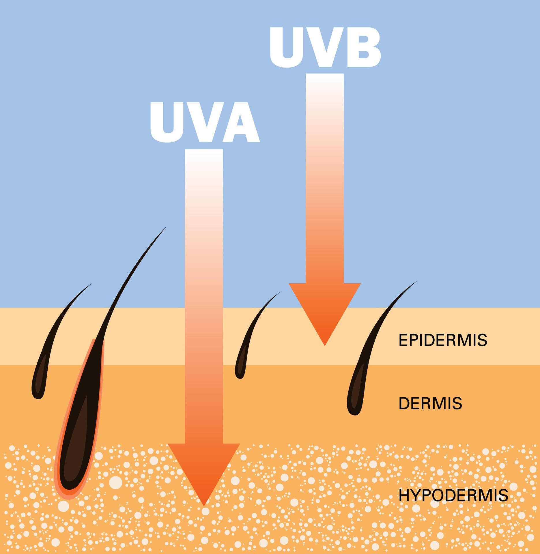 Skin compare , Protect both UVA and UVB, ultraviolet comparison 45775257 Vector Art at Vecteezy