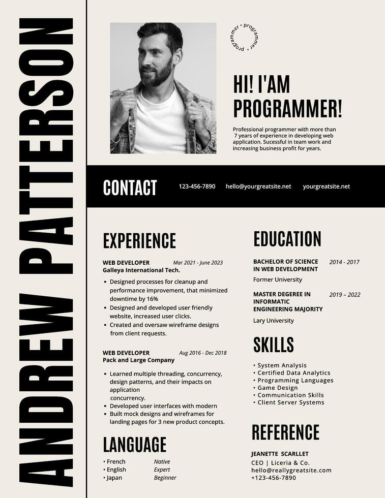 Programmer Resume