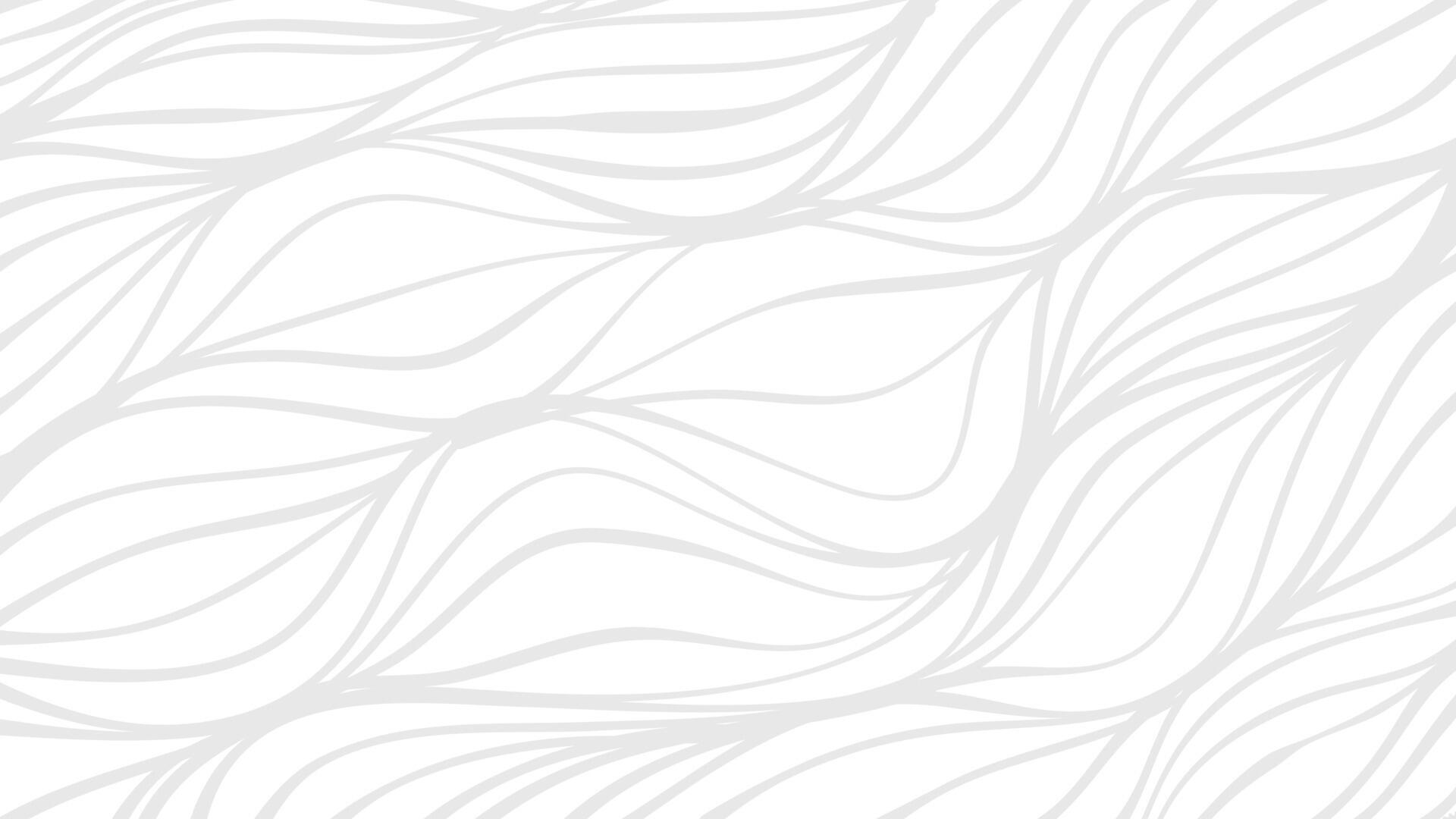 Abstract Wavy Background Abstract Wavy Lines Background Wave Outline Background White