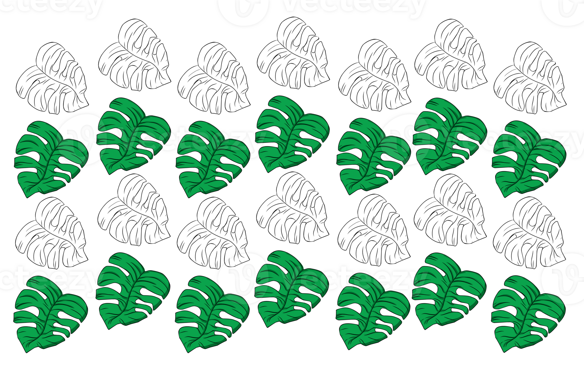 Summer Monstera Leaves Pattern 45809039 Png