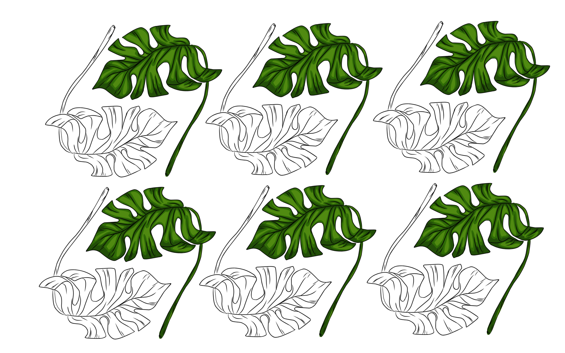 Summer Monstera Leaves Pattern 45809051 Png
