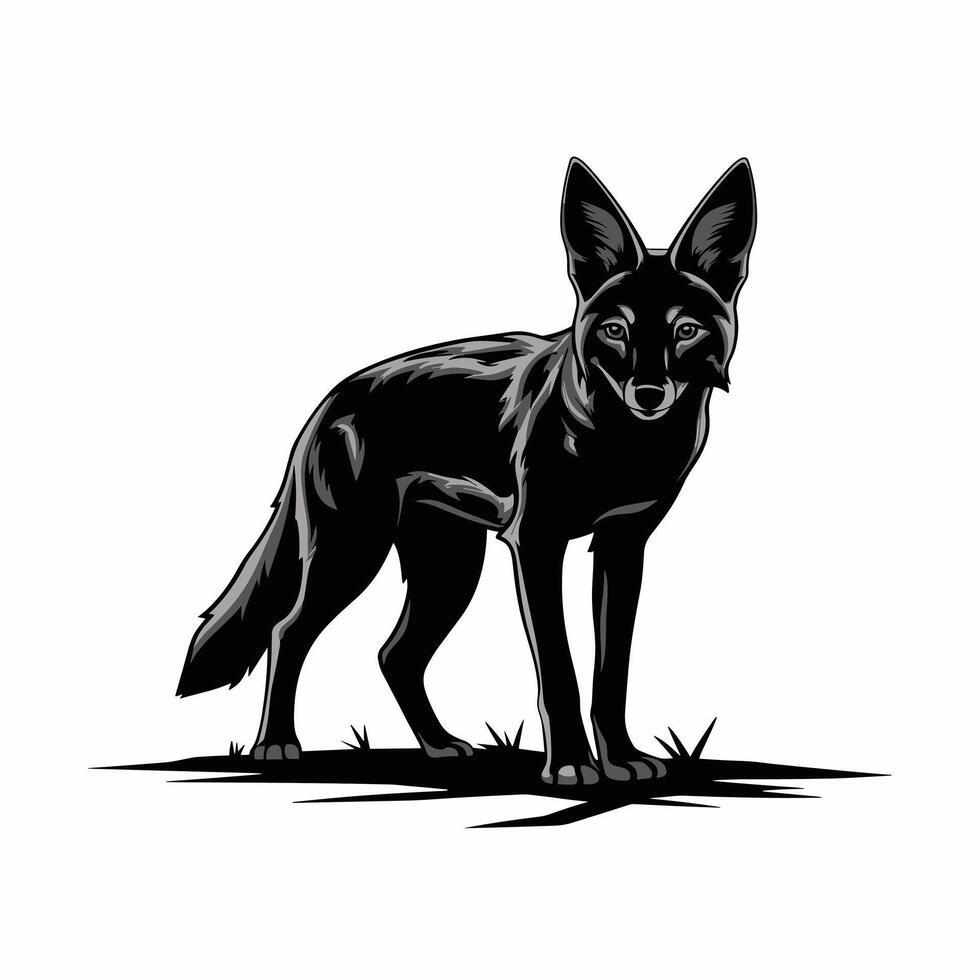 Jackal Clipart Jackal PNGs For Free Download