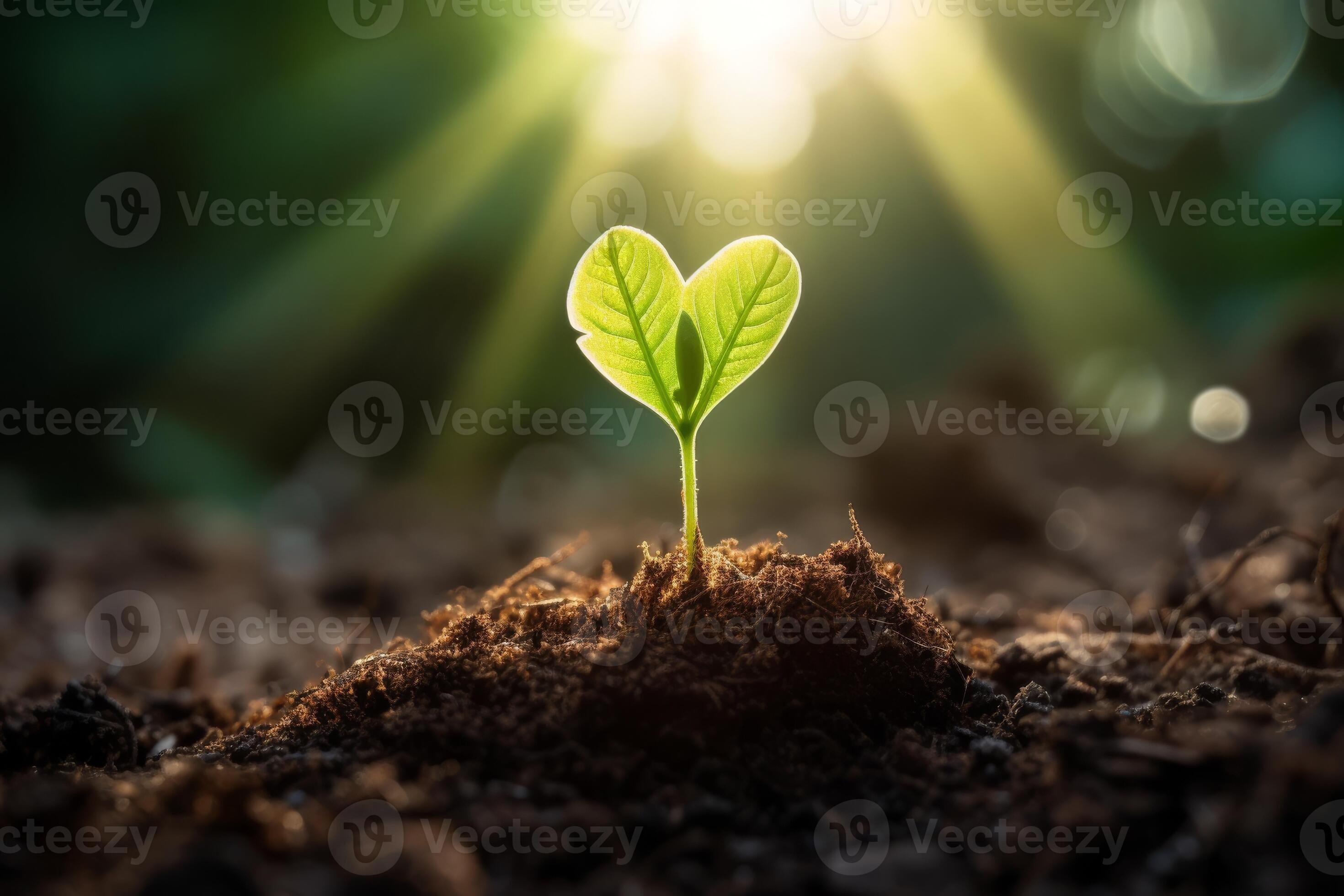 Earth day concept. Renewable energy for future. Sustainable resources ... Earth day concept. Renewable energy for future. Sustainable resources ...