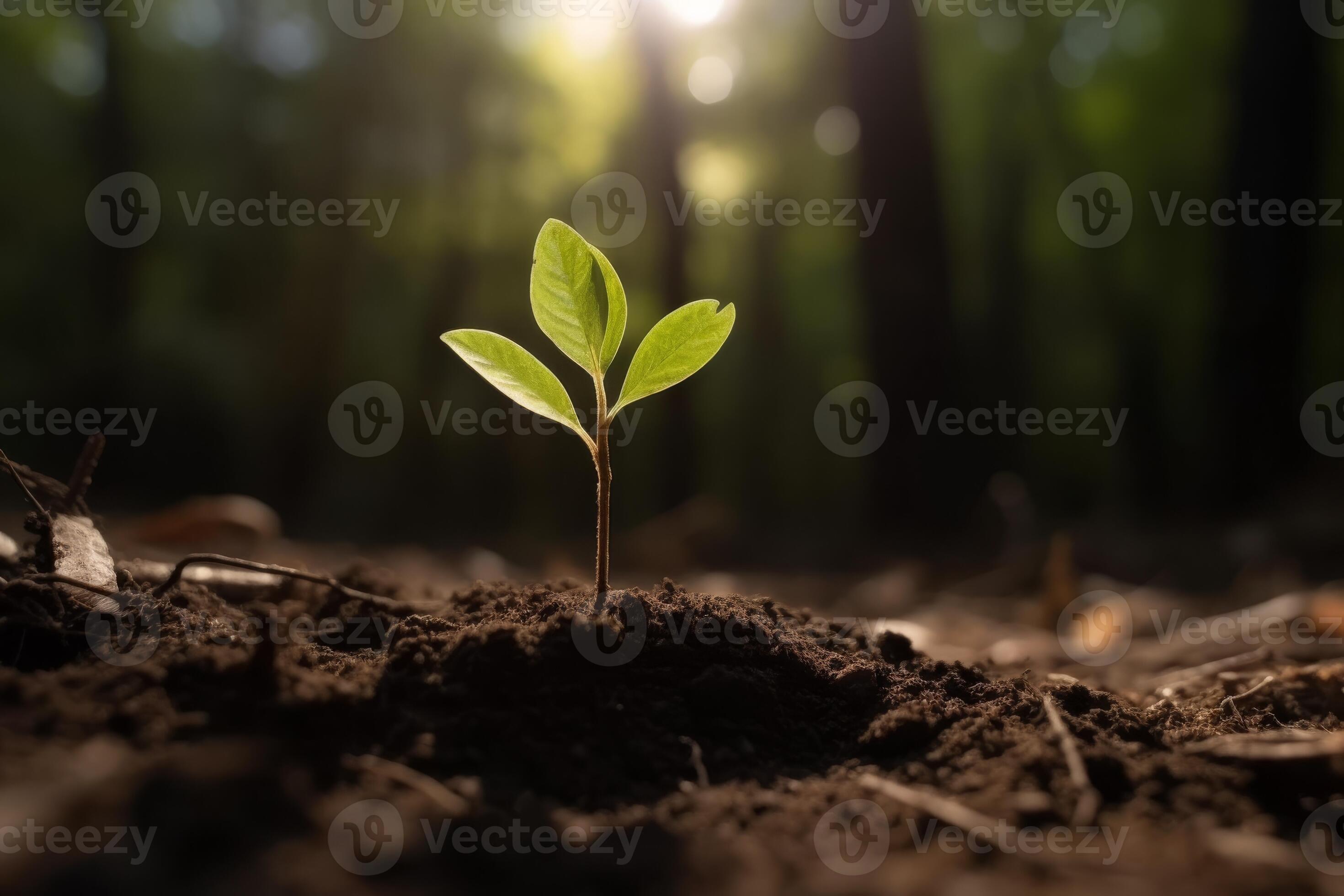 Earth day concept. Renewable energy for future. Sustainable resources ... Earth day concept. Renewable energy for future. Sustainable resources ...