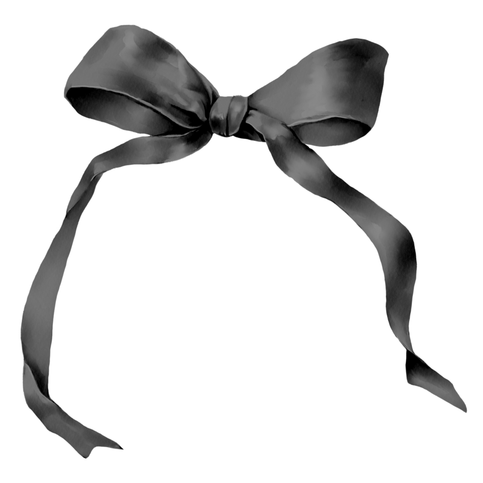 Ribbon bow store