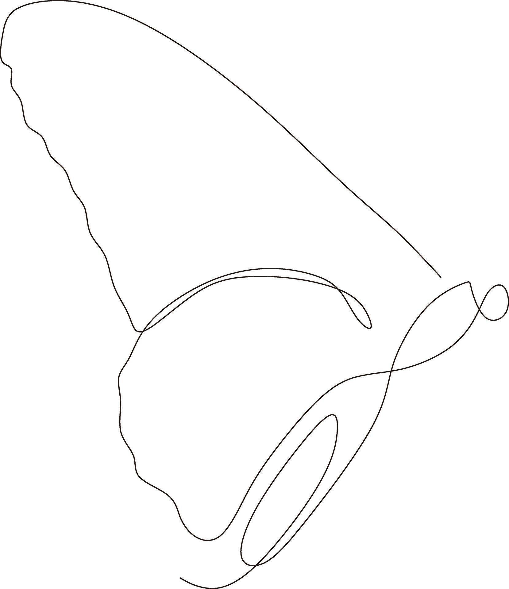 Butterfly Continuous Line Drawing Design Isolated On White Background