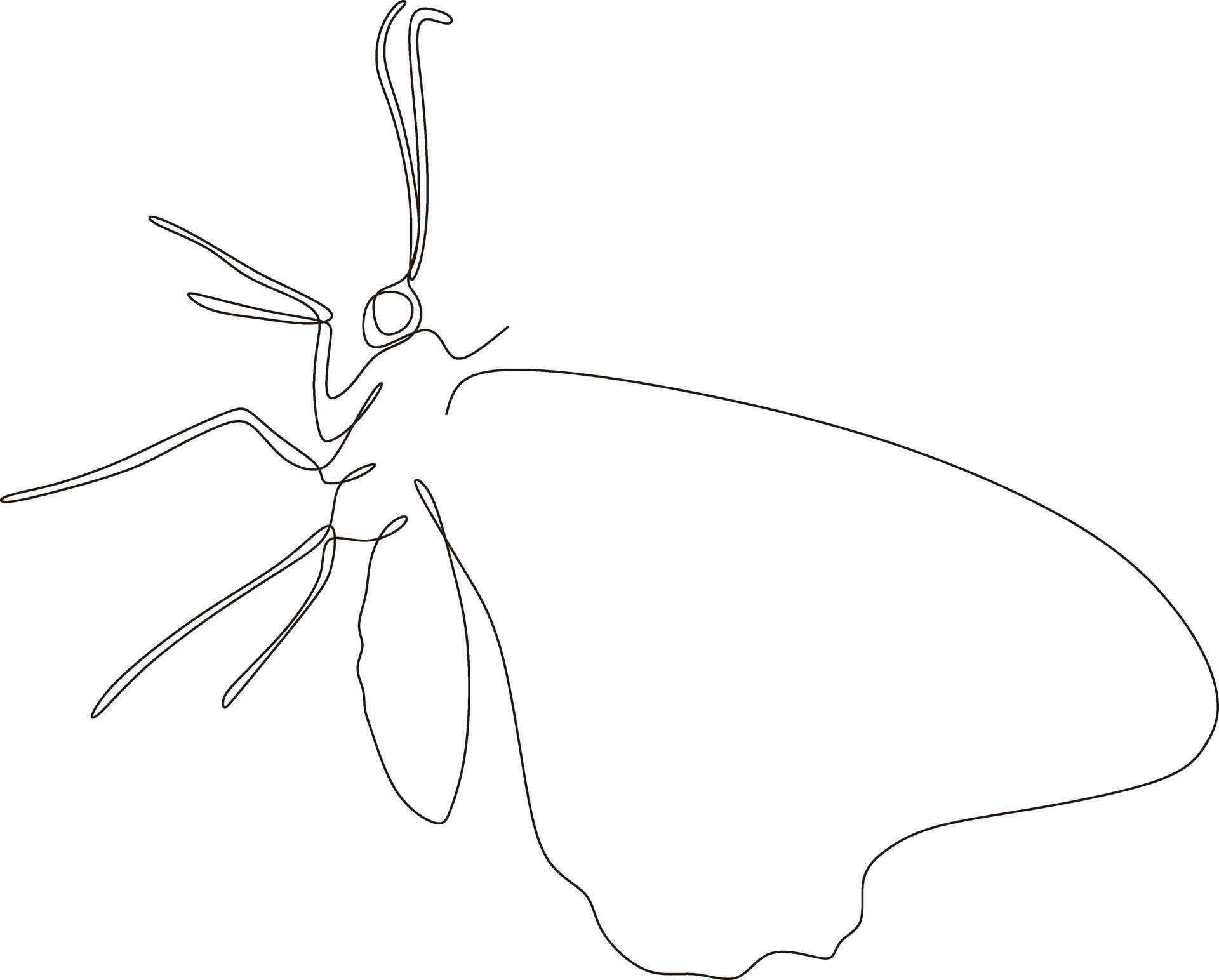 Butterfly Continuous Line Drawing Design Isolated On White Background