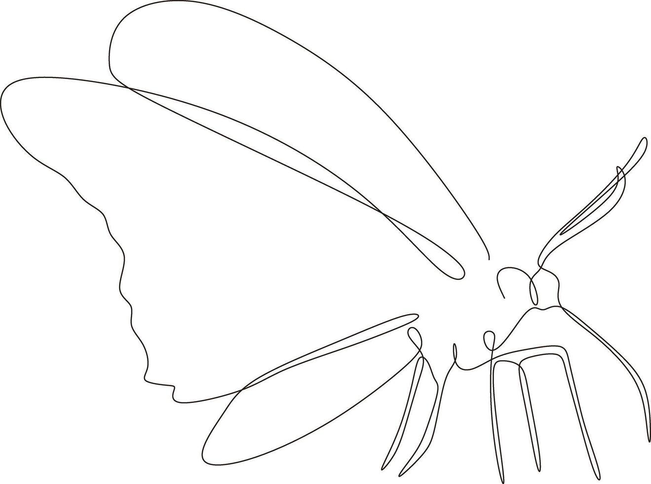 Butterfly Continuous Line Drawing Design Isolated On White Background