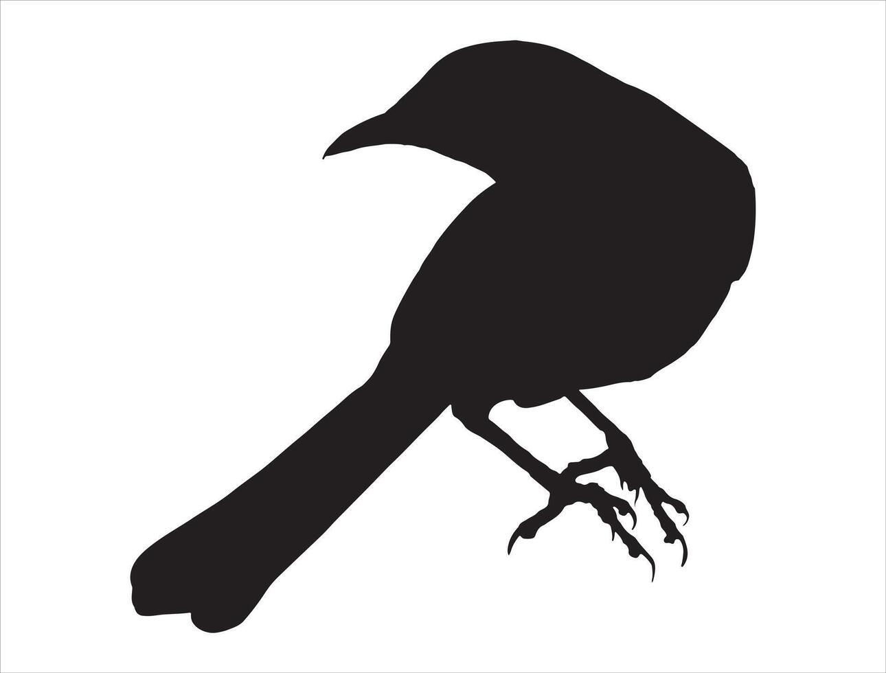 Mockingbird silhouette on white background 45865622 Vector Art at Vecteezy Mockingbird silhouette on white background 45865622 Vector Art at Vecteezy