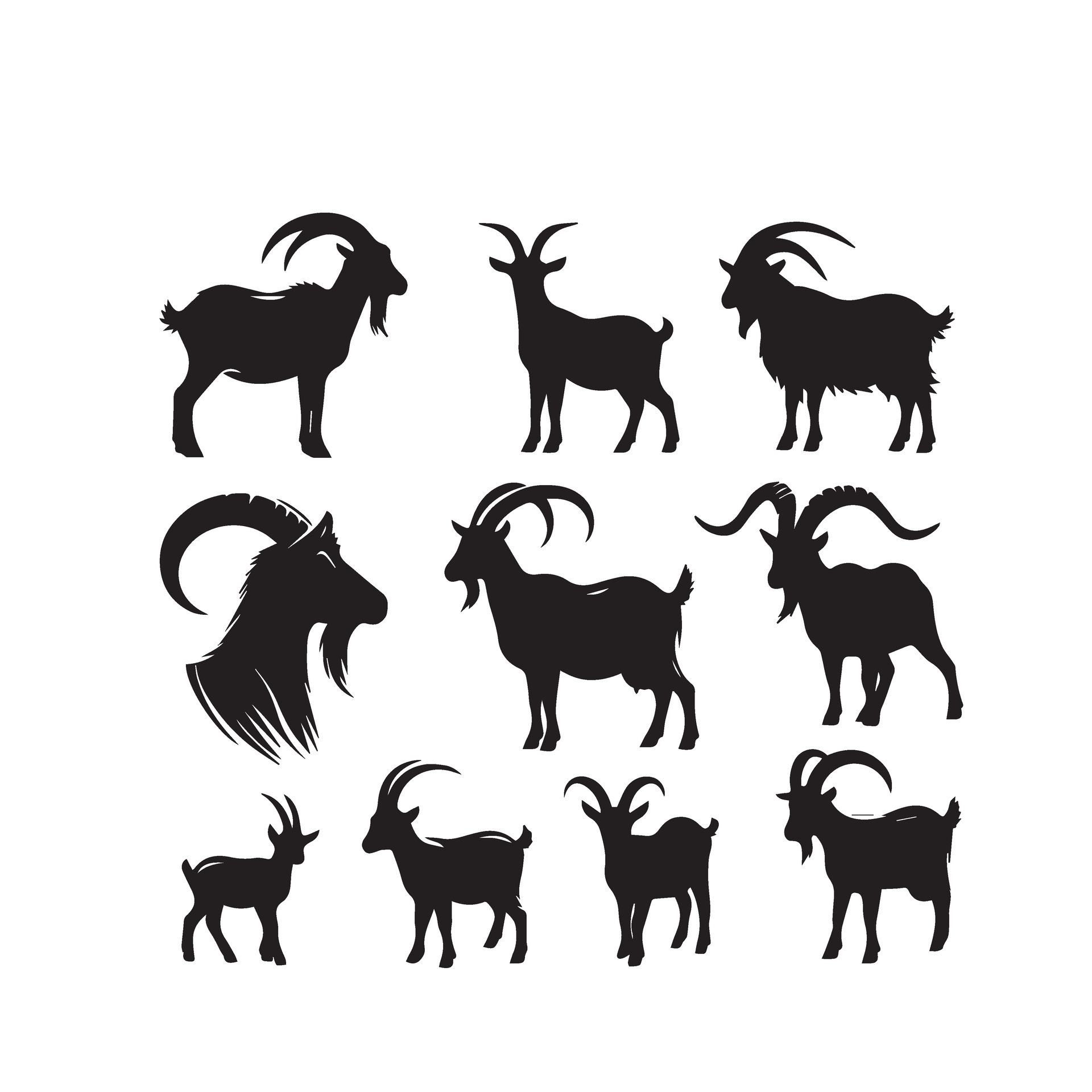 Goat silhouette on white background. Goat logo, Goat illustration ...
