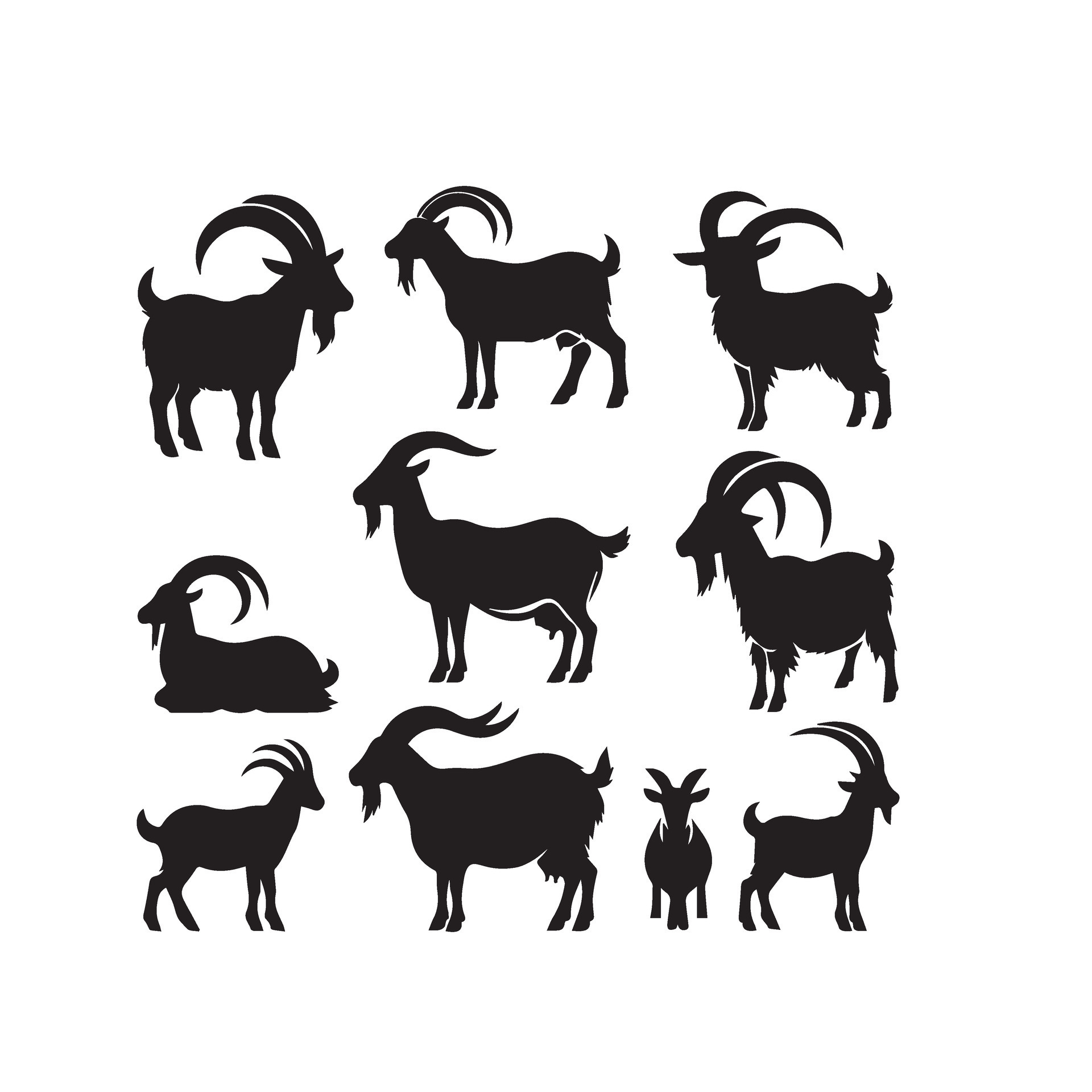Goat silhouette on white background. Goat logo, Goat illustration ...