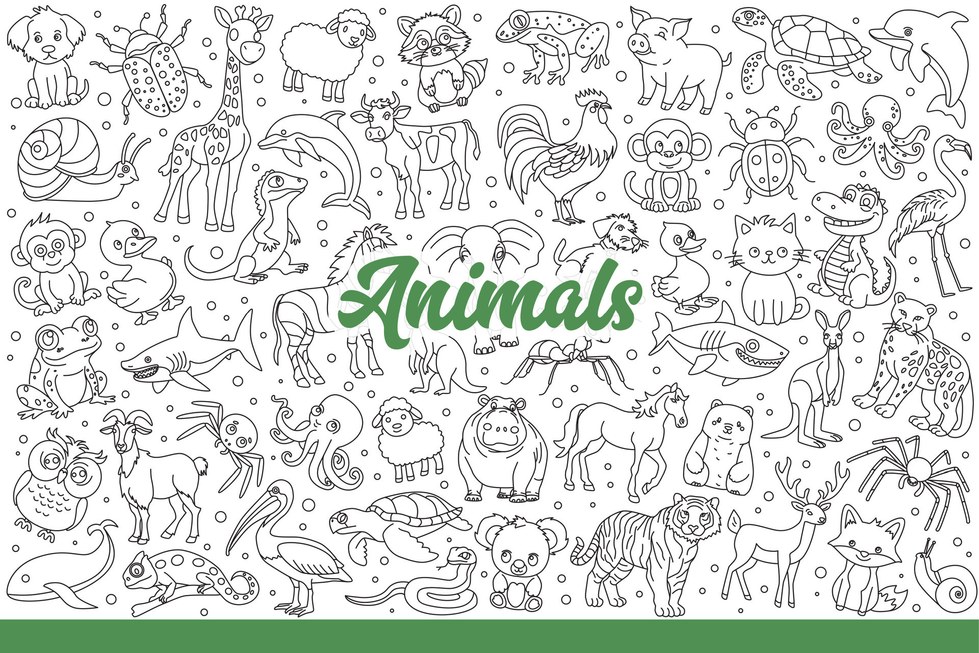 Wild animals and insects or reptiles living in forest near marine ...