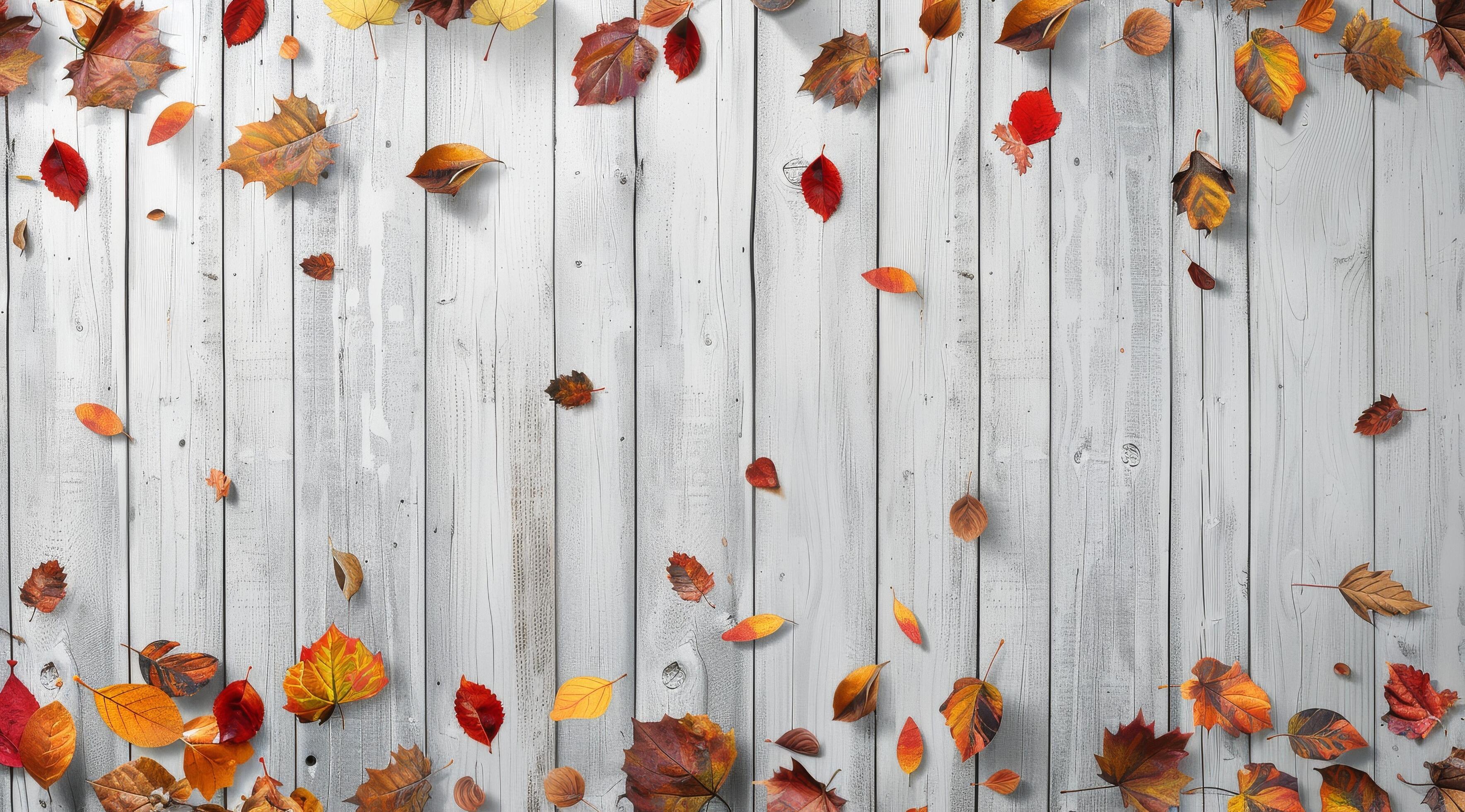 Cluster of Leaves on Wall 45892659 Stock Photo at Vecteezy