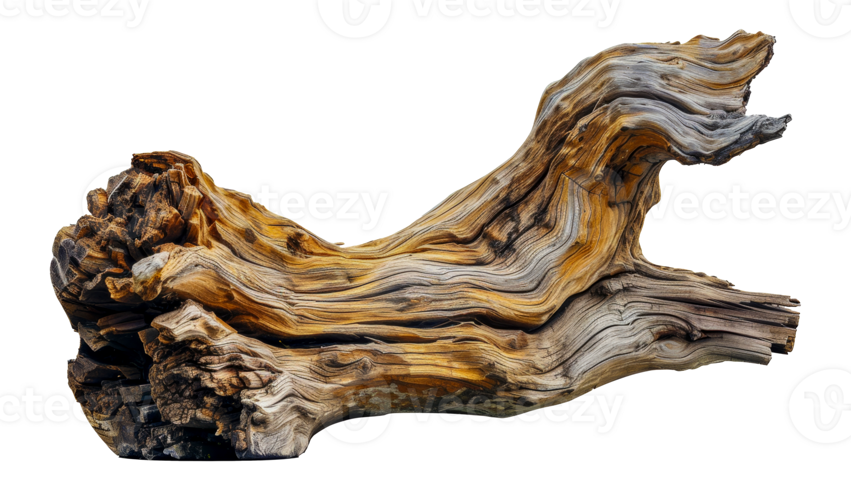 Driftwood sculpture, cut out - stock .. 45911833 PNG Driftwood sculpture, cut out - stock .. 45911833 PNG