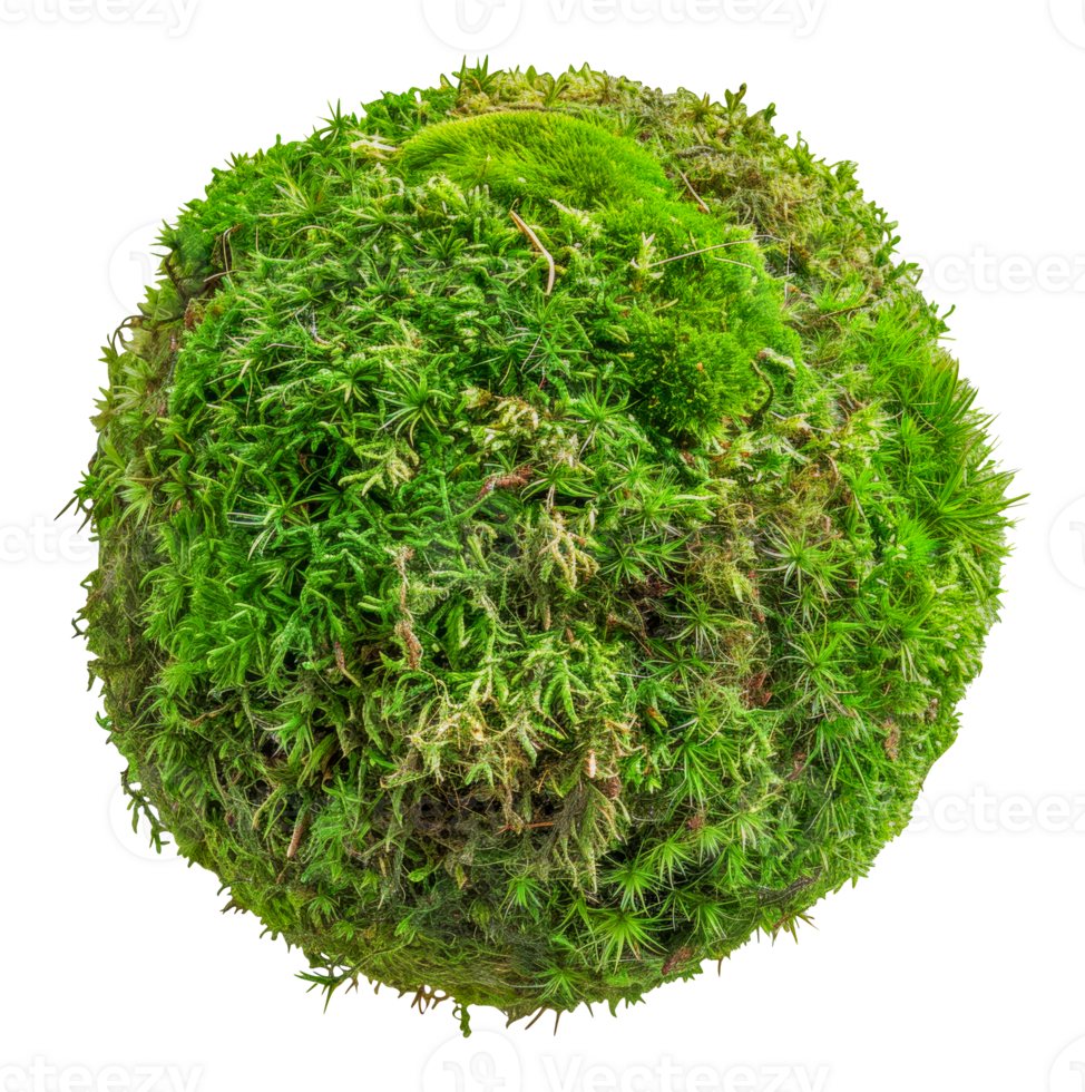 Mossy sphere, cut out - stock . 45913195 PNG Mossy sphere, cut out - stock . 45913195 PNG