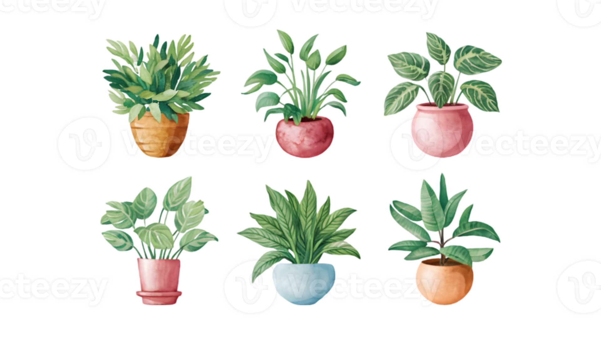 A Set of Six Flat Watercolor Home Plants in Pots - Transparent ...