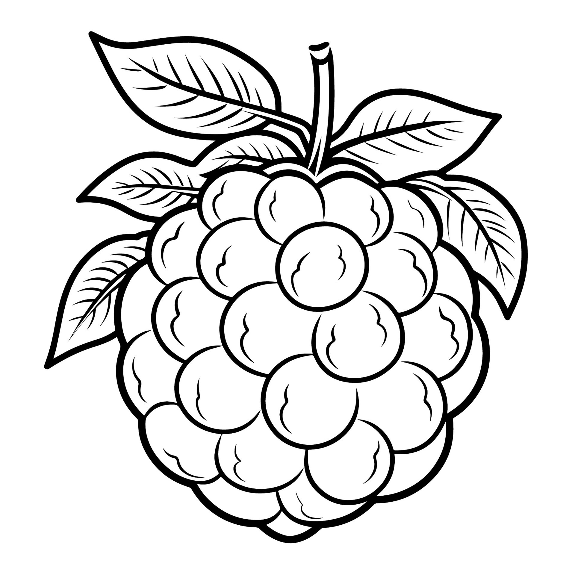 Simple raspberry outline icon for fruity designs. 45916940 Vector Art ...
