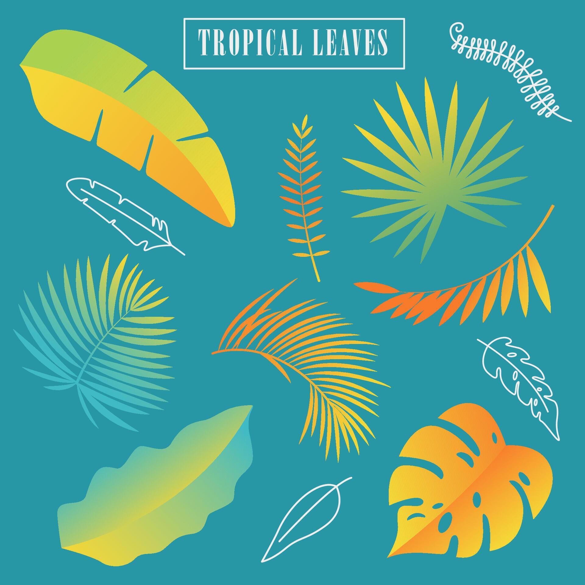 Tropical Leaves Set Illustration 45936378 Vector Art At Vecteezy