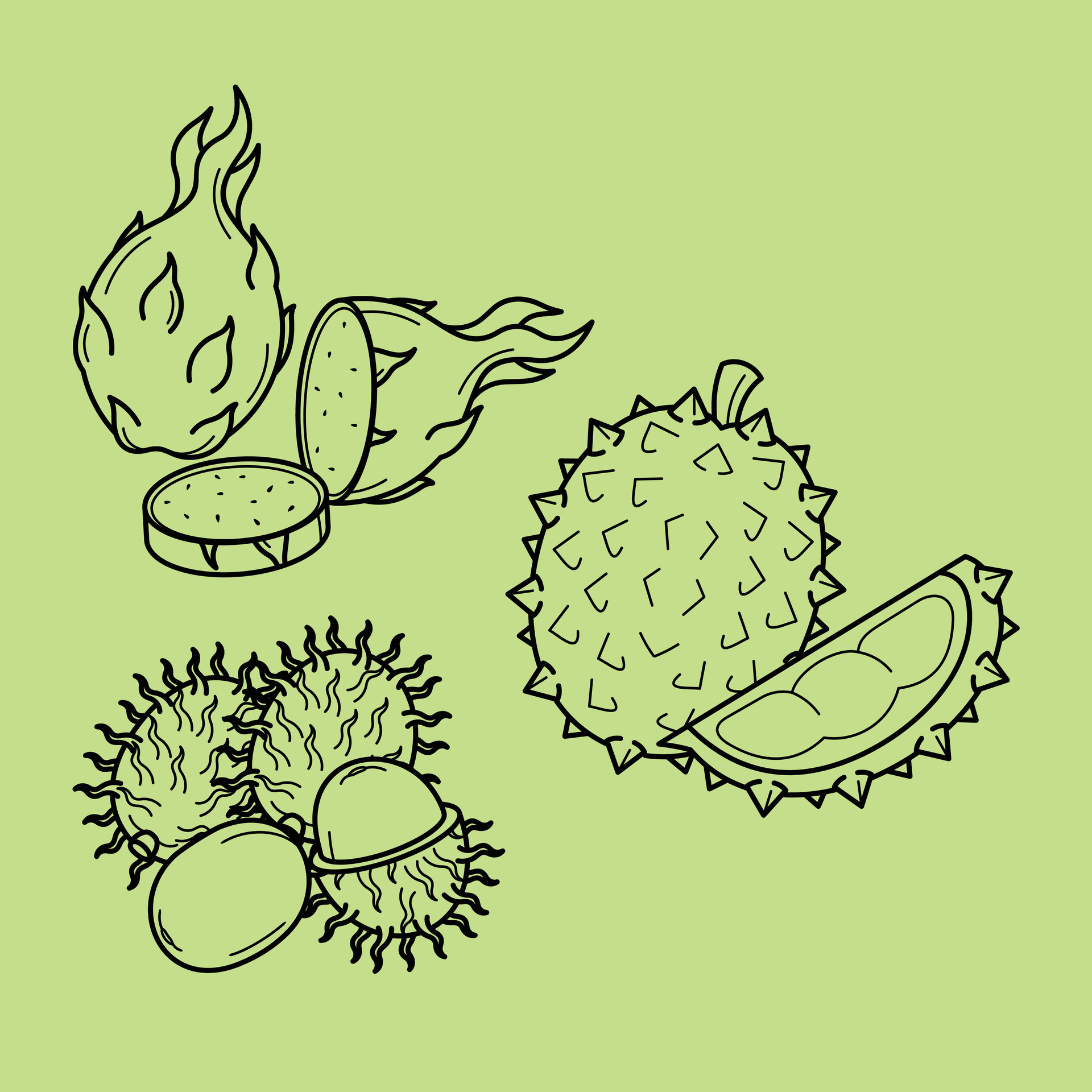 Line Art Outline Slice Tropical Exotic Fruits 45947073 Vector Art at ... Line Art Outline Slice Tropical Exotic Fruits 45947073 Vector Art at ...