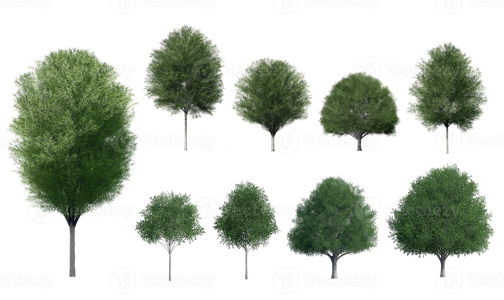 Collection Beautiful 3D Trees Isolated on white background , Use for ...