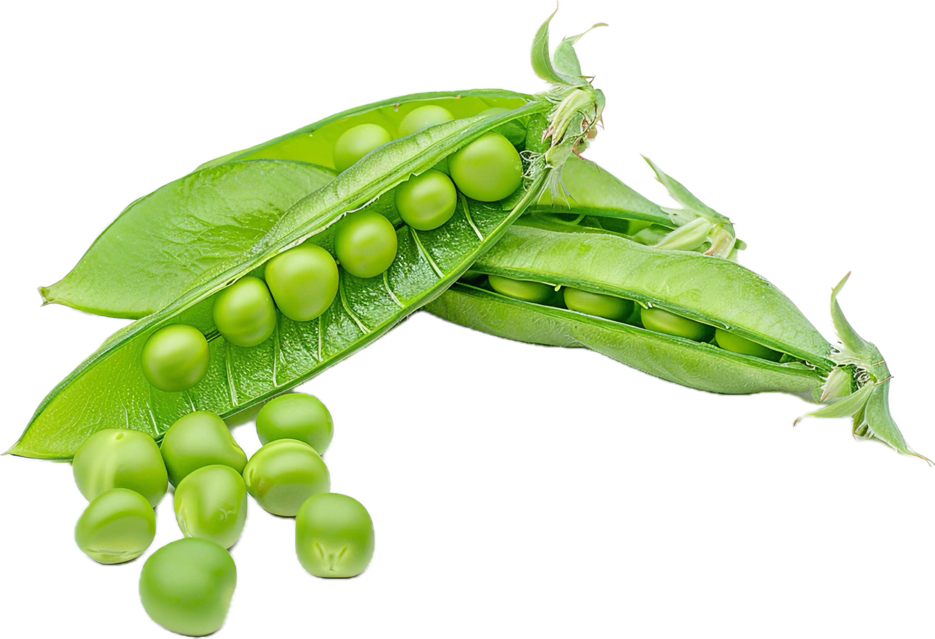 Fresh Green Peas In Pod 46004881 Png