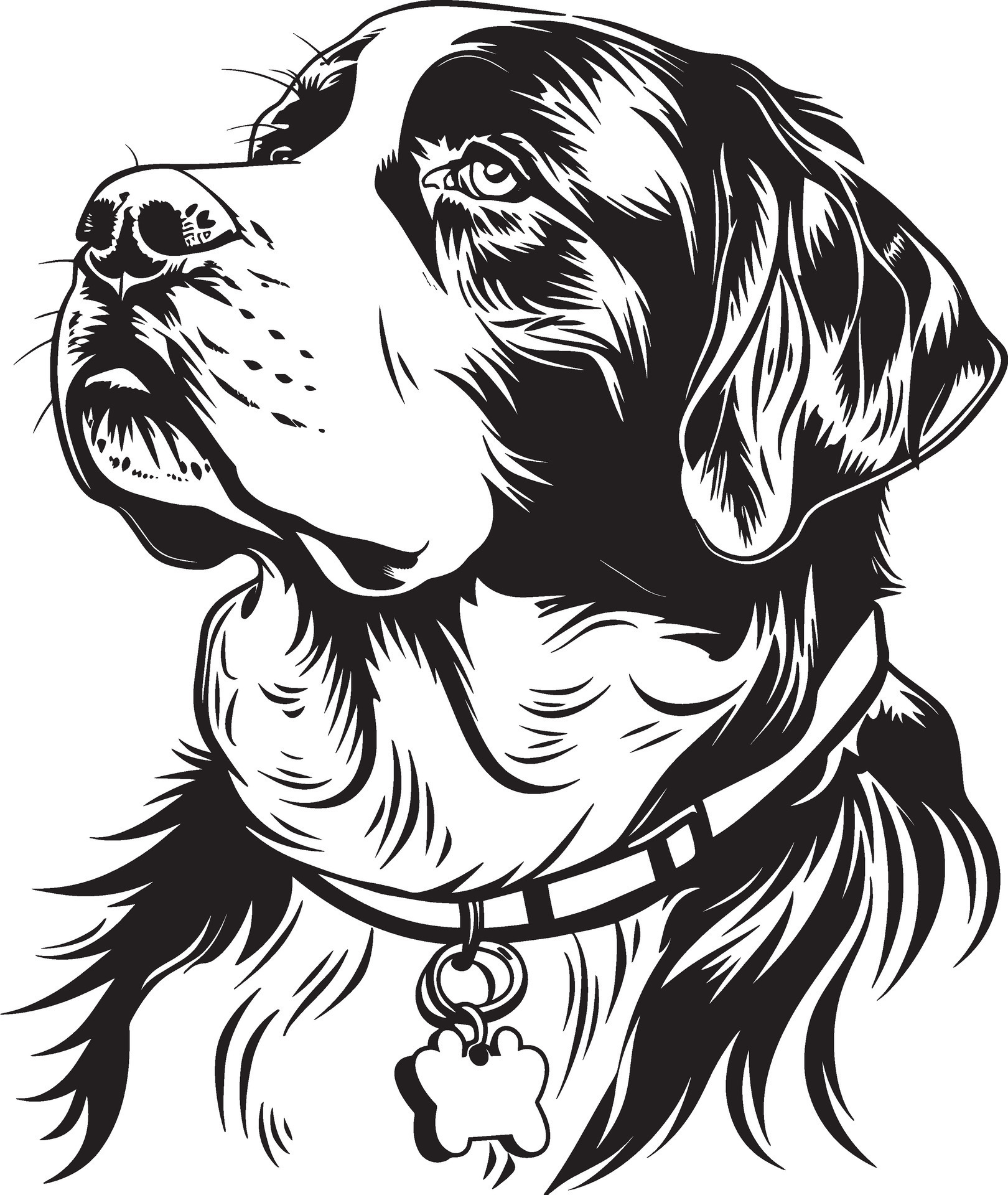St. Bernard dog clipart, St. Bernard black 46010603 Vector Art at Vecteezy