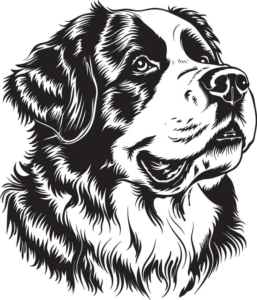 St. Bernard dog clipart, St. Bernard black 46010605 Vector Art at Vecteezy