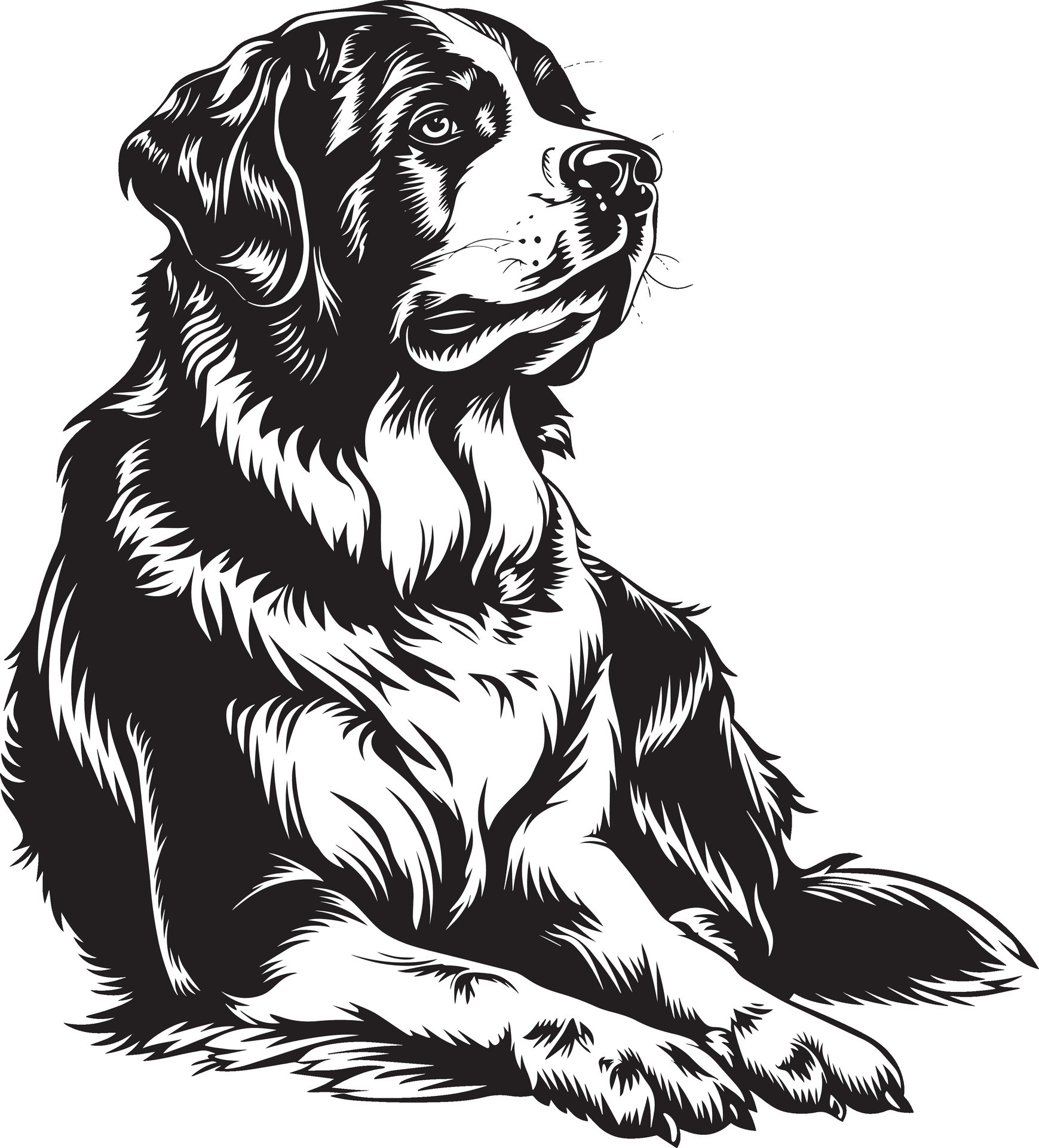St. Bernard dog clipart, St. Bernard black 46010630 Vector Art at Vecteezy