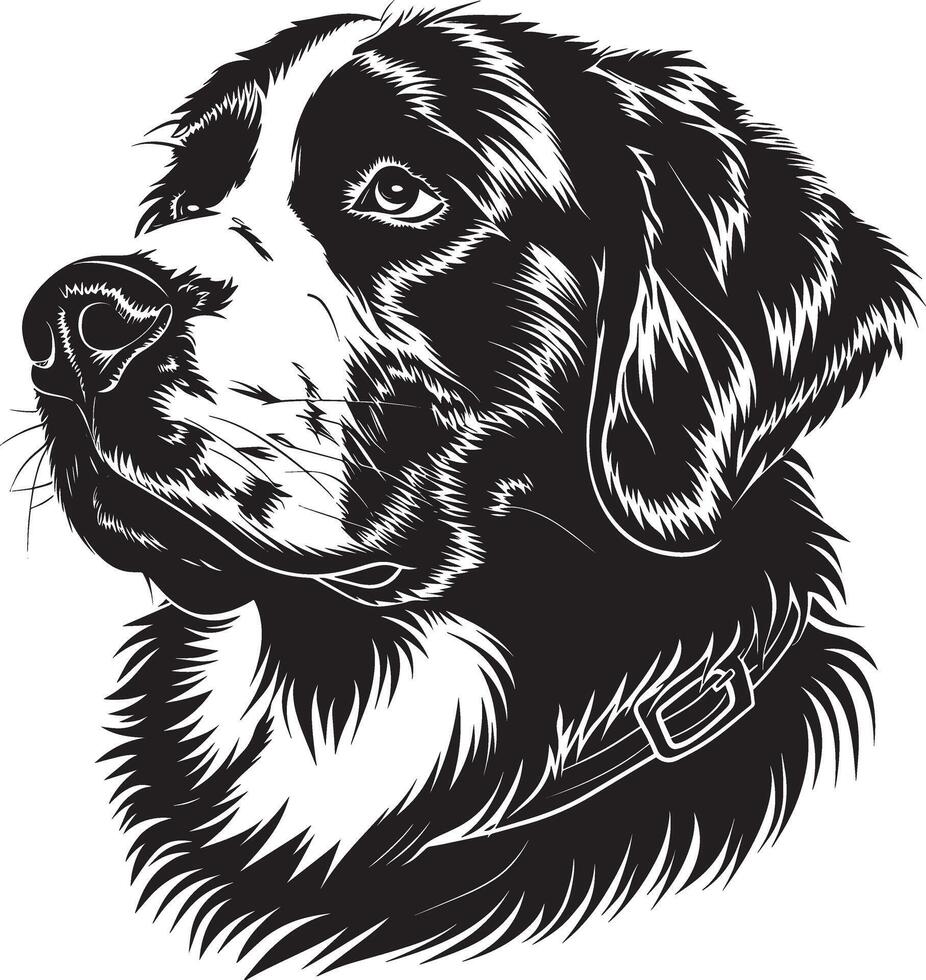 St. Bernard dog clipart, St. Bernard black 46010649 Vector Art at Vecteezy