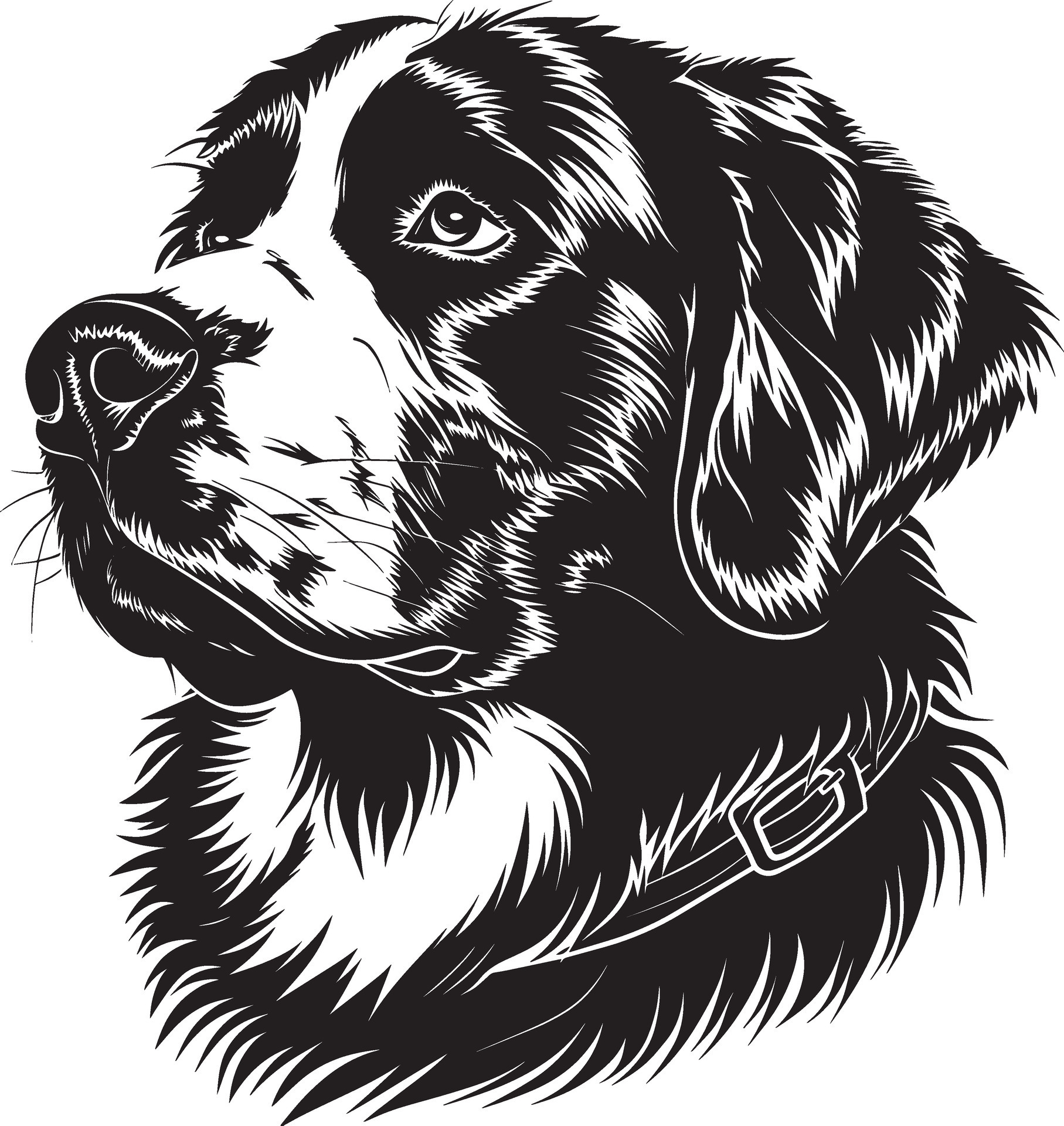St. Bernard dog clipart, St. Bernard black 46010649 Vector Art at Vecteezy