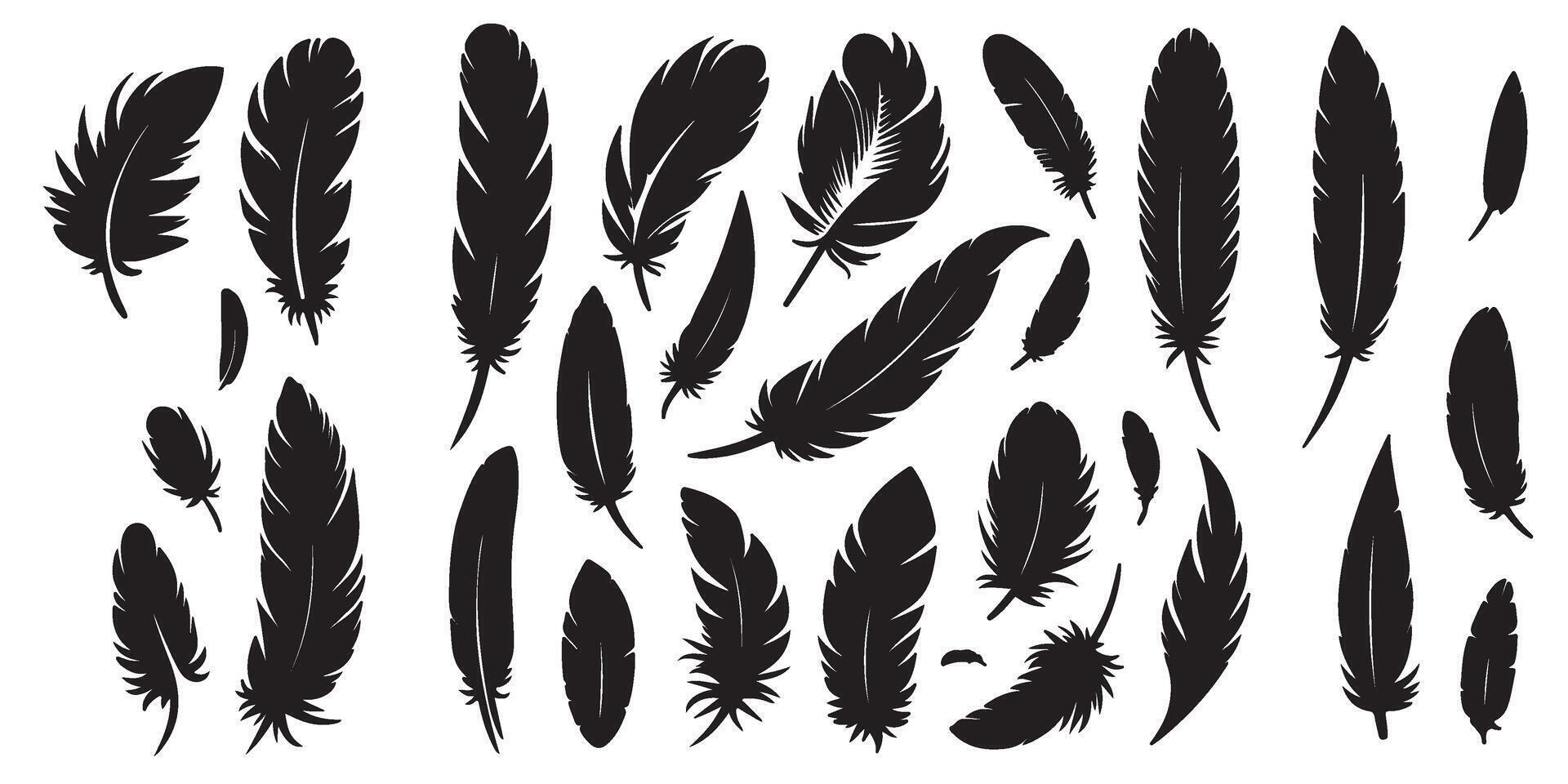 conjunto de pluma siluetas en varios formas y tamaños para artístico diseño utilizar 46019440 ...