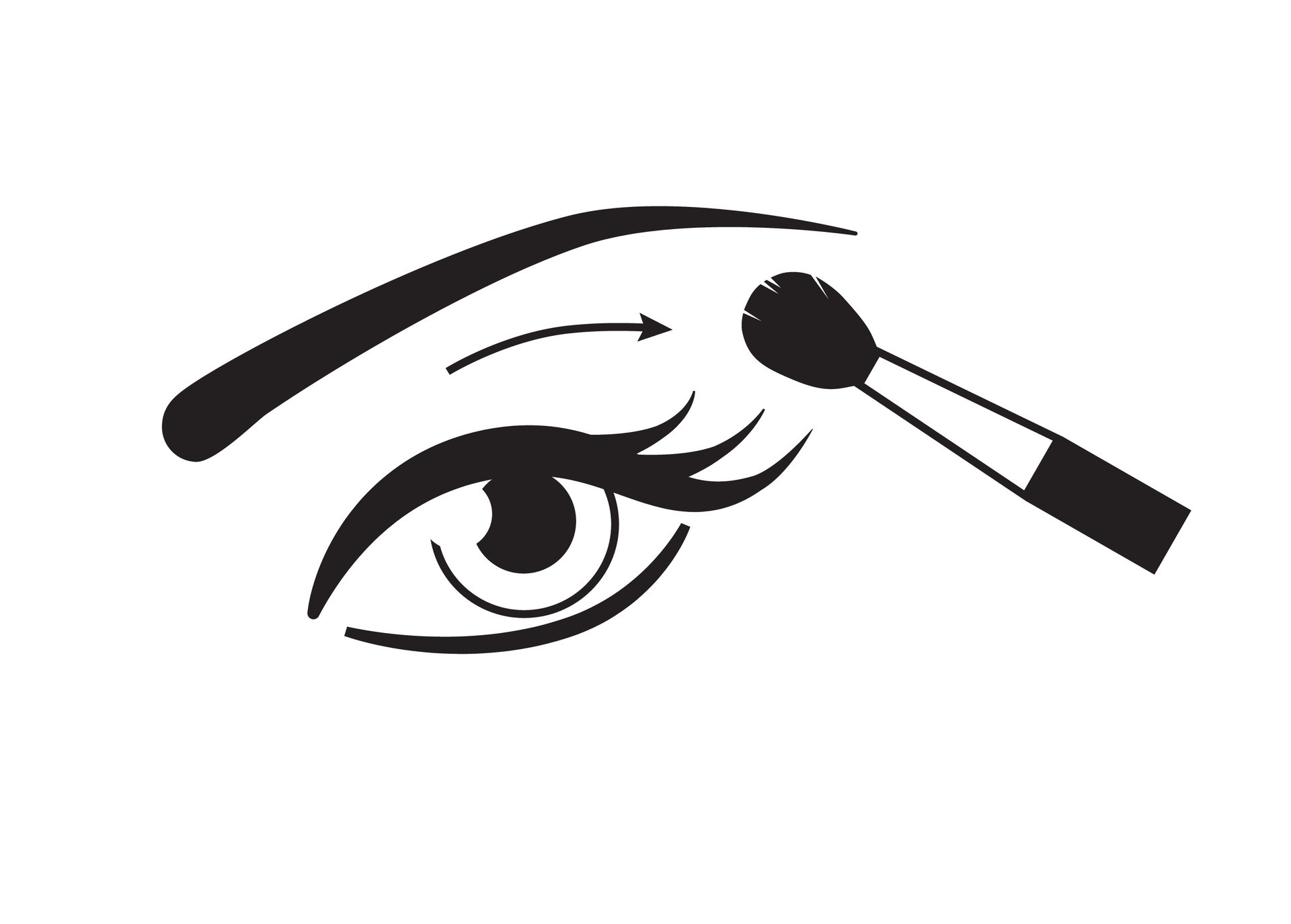 Female Eye And Brush Make Up Applying Illustration Scheme How To Apply An Eyeshadow 46022545