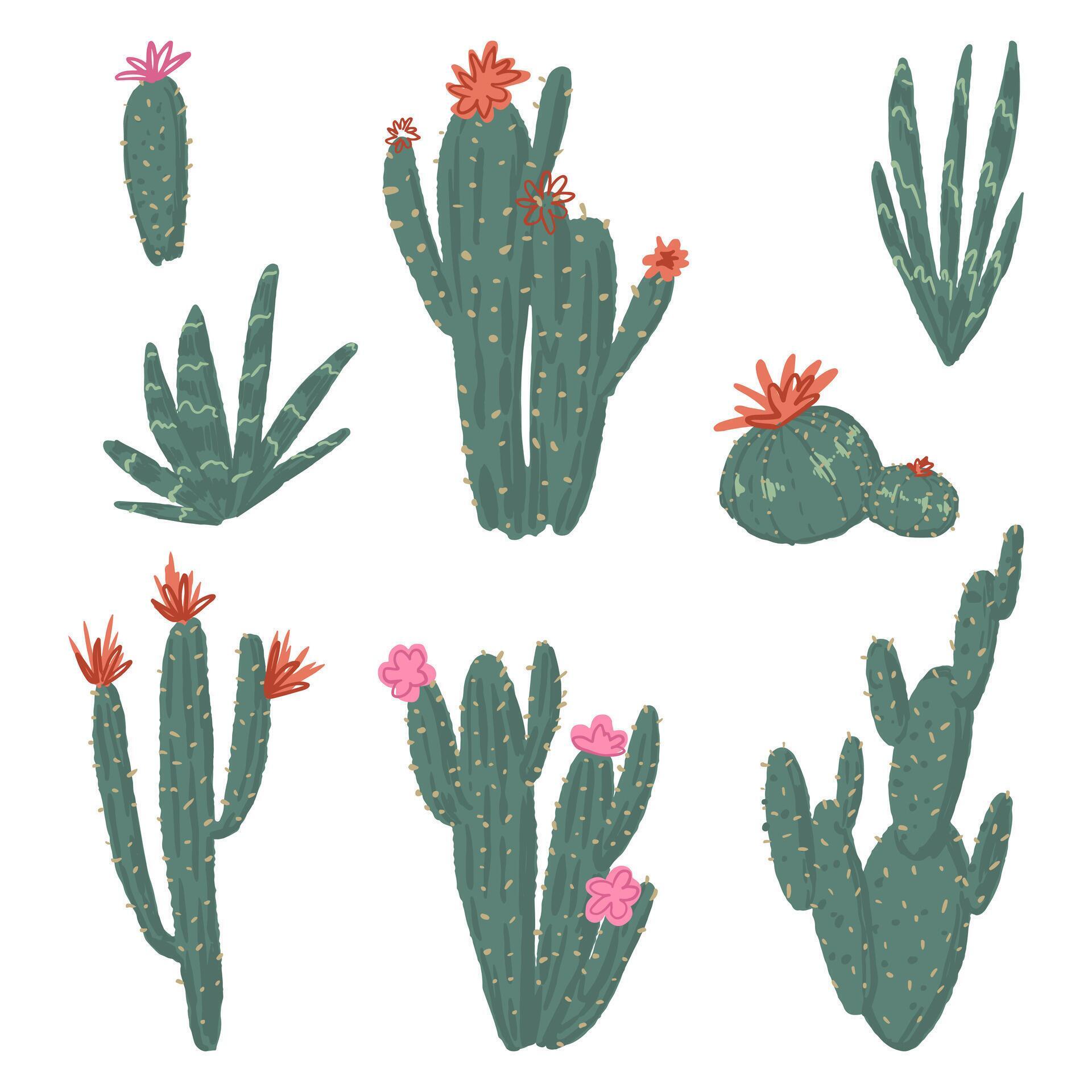 Blooming cactus set. Exotic desert cacti, wild plants, prickly succulents. Botanical ...