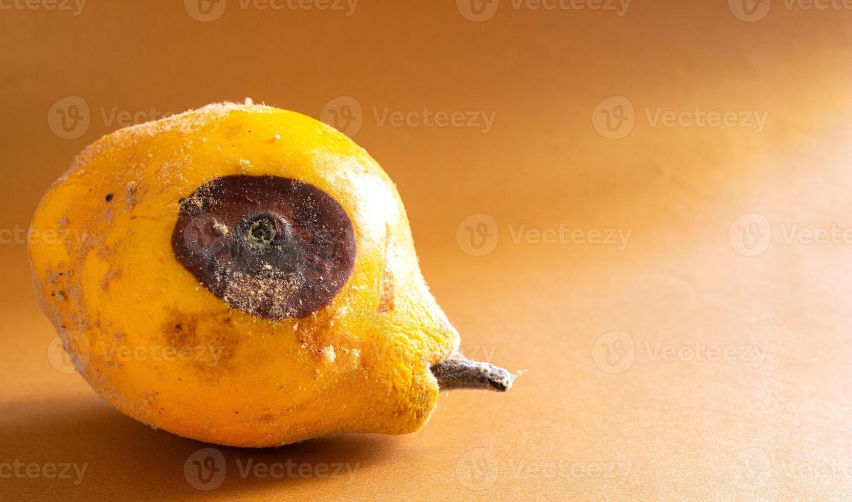 Bad Fruit Stock Photos, Images and Backgrounds for Free Download